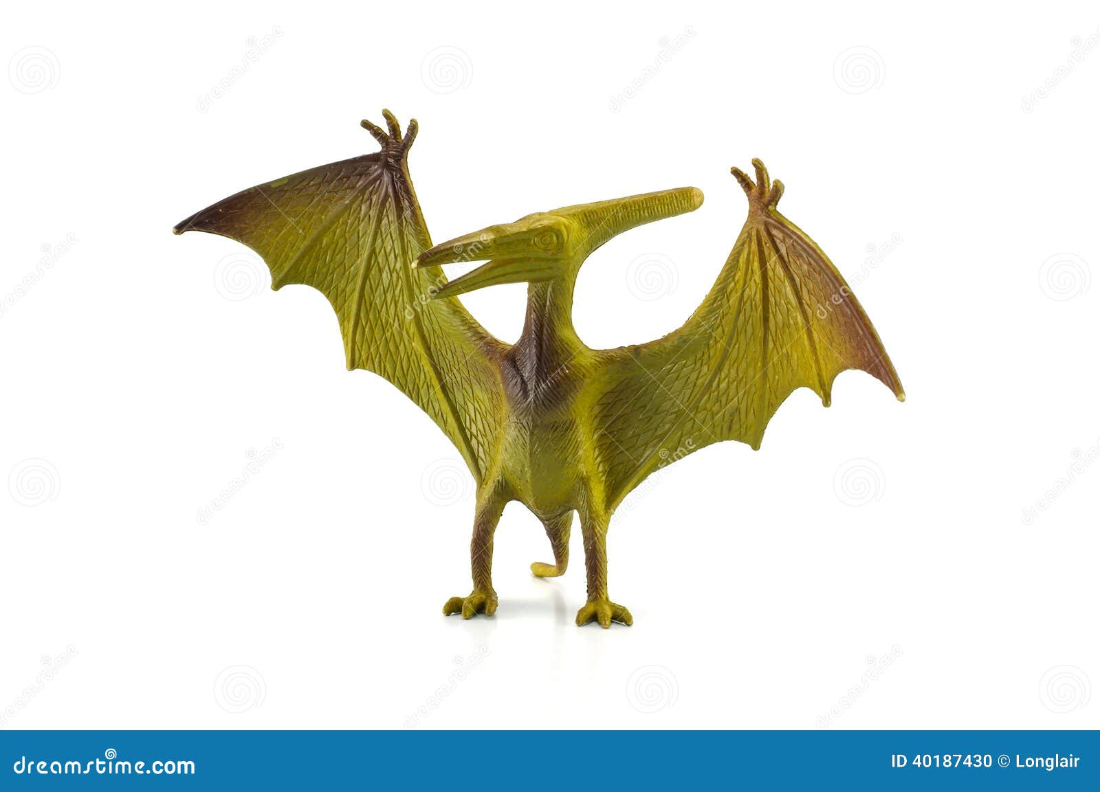 Pterosaur Dinosaur Toy Isolated on White Stock Photo - Image of nature ...
