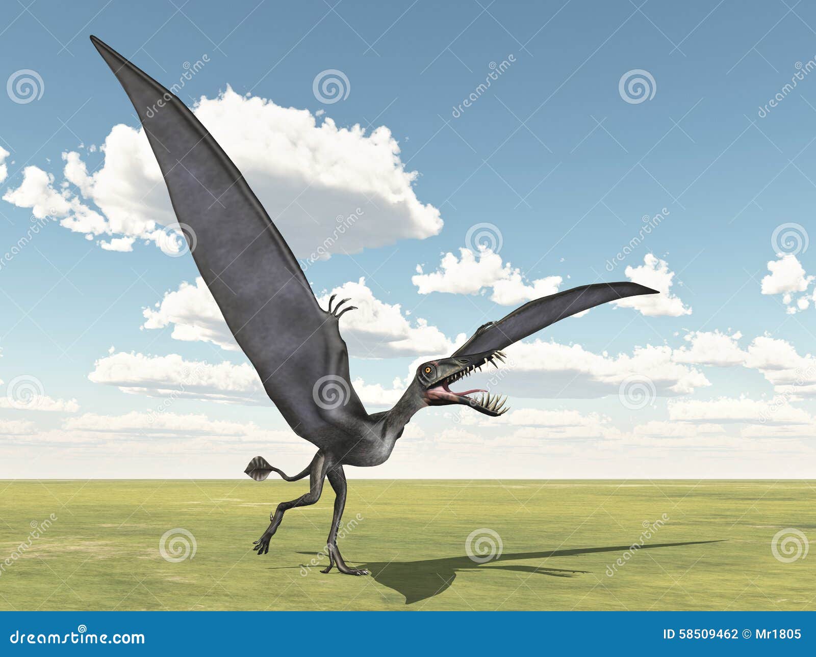Pterosaur Dorygnathus stock illustration. Illustration of paleontology ...
