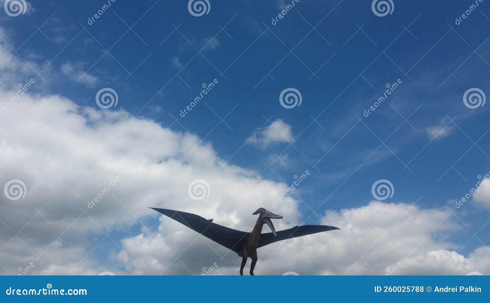 Pterosaur Flying through the Sky Stock Photo - Image of background ...