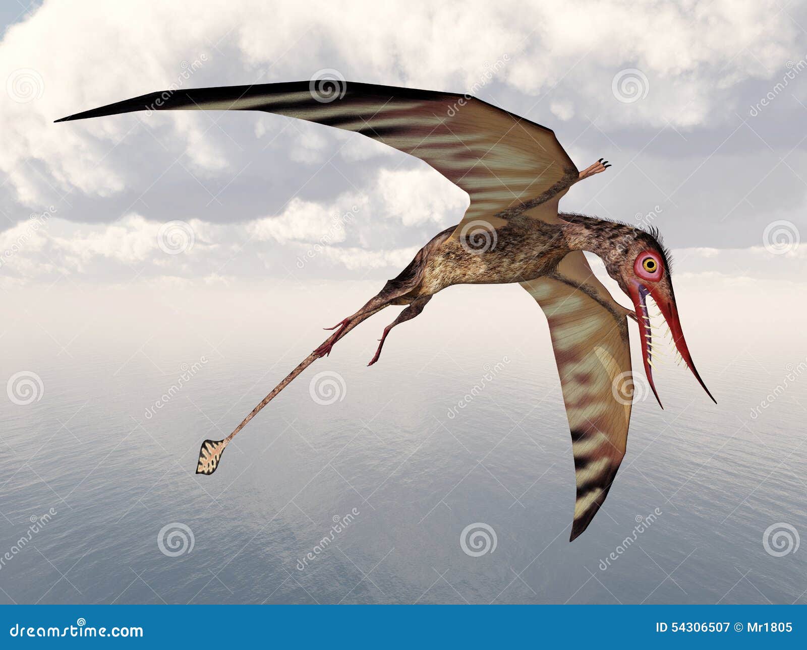 Rhamphorhynchus, Flying Pterosaur. Long-tailed Winged Dinosaur. Ancient ...