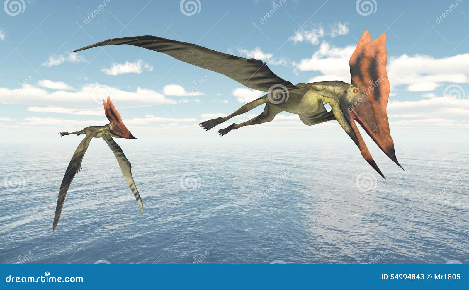 Thalassodromeus Pterosaur On White Stock Photo | CartoonDealer.com ...