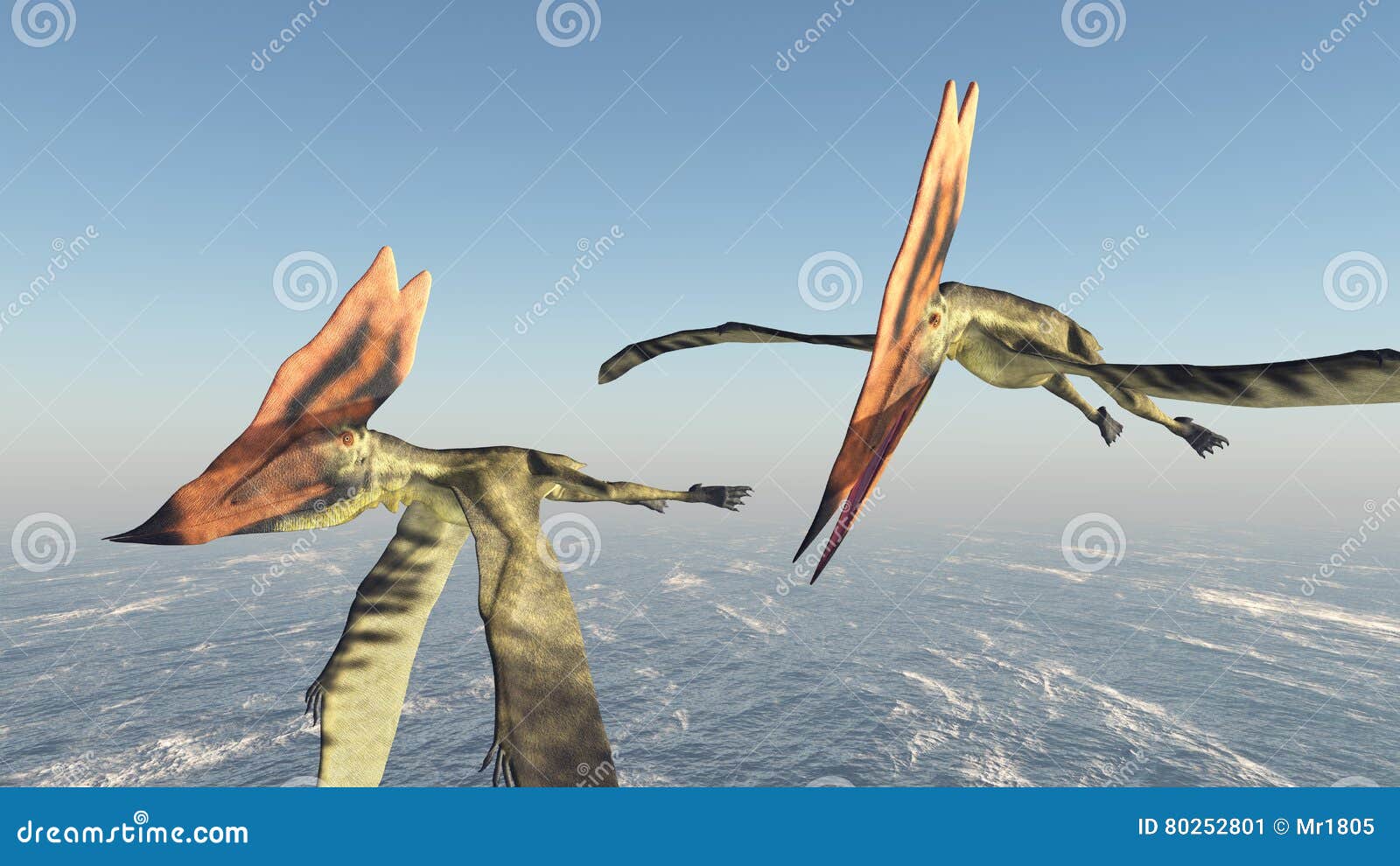 Pterosaur Thalassodromeus Stock Illustration | CartoonDealer.com #55573555