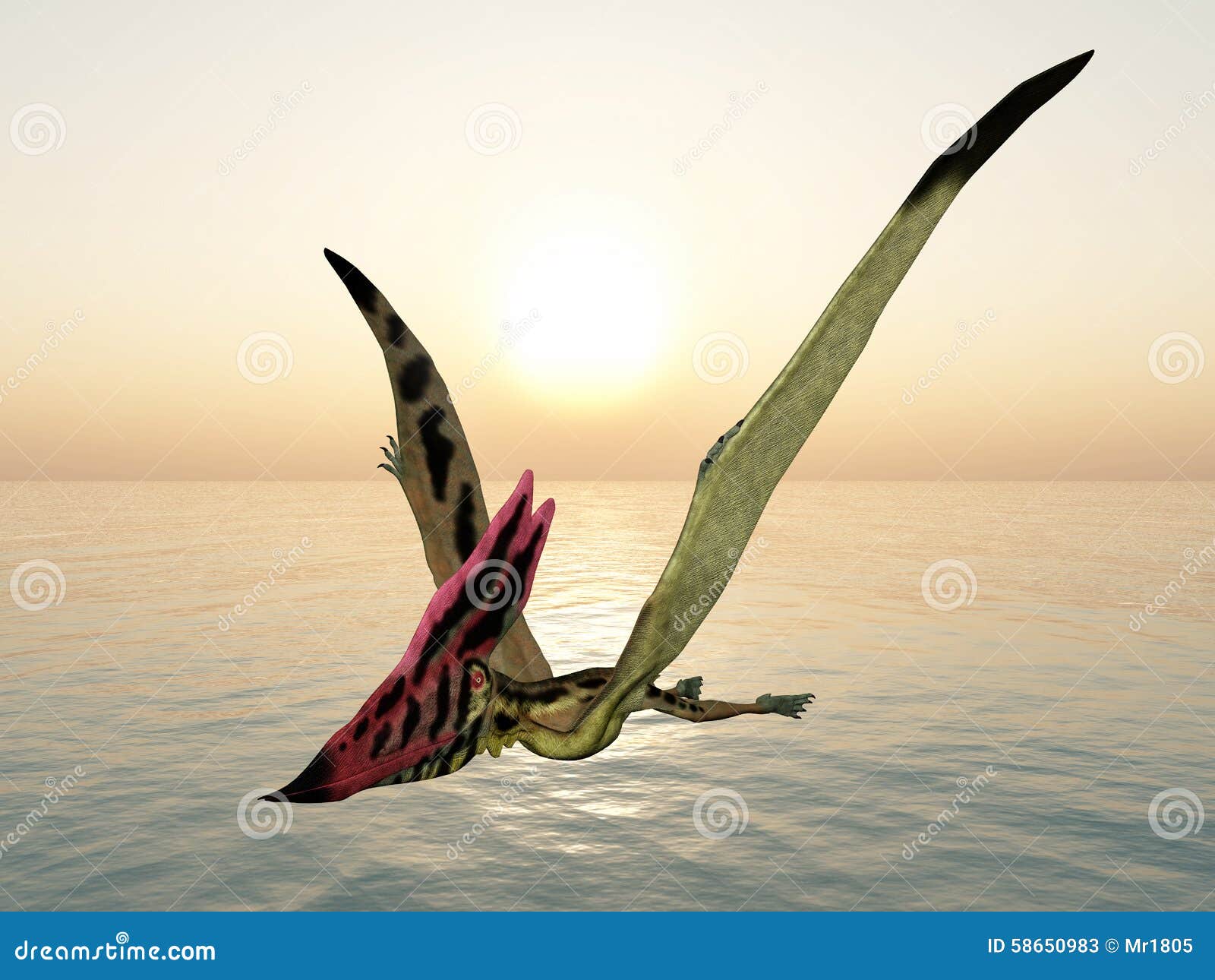 Thalassodromeus Pterosaur Profile Royalty-Free Stock Image ...