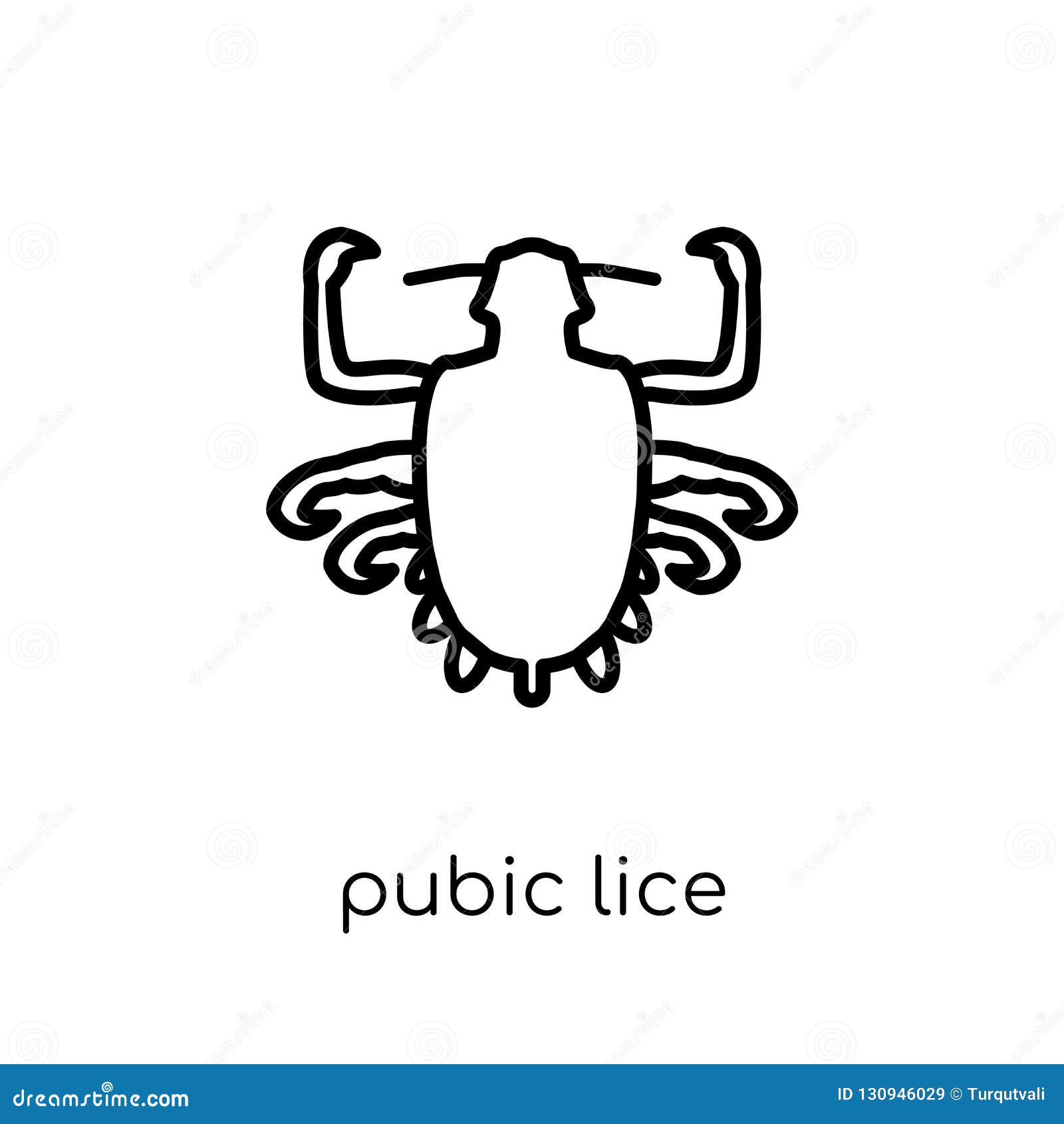 Pubic Lice Icon. Trendy Modern Flat Linear Vector Pubic Lice Icon on ...