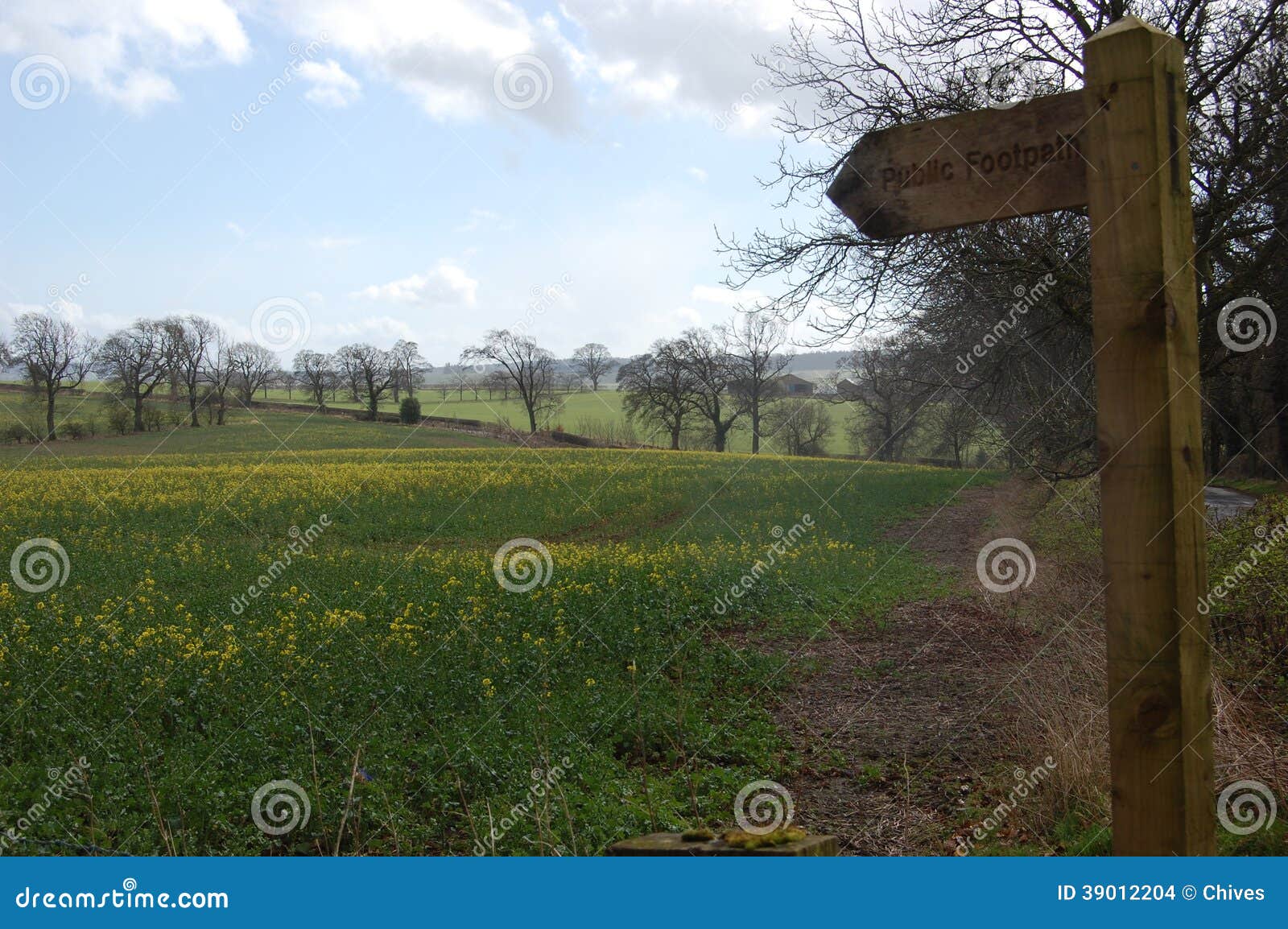 Public footpath stock photo. Image of sign, walking, field - 39012204