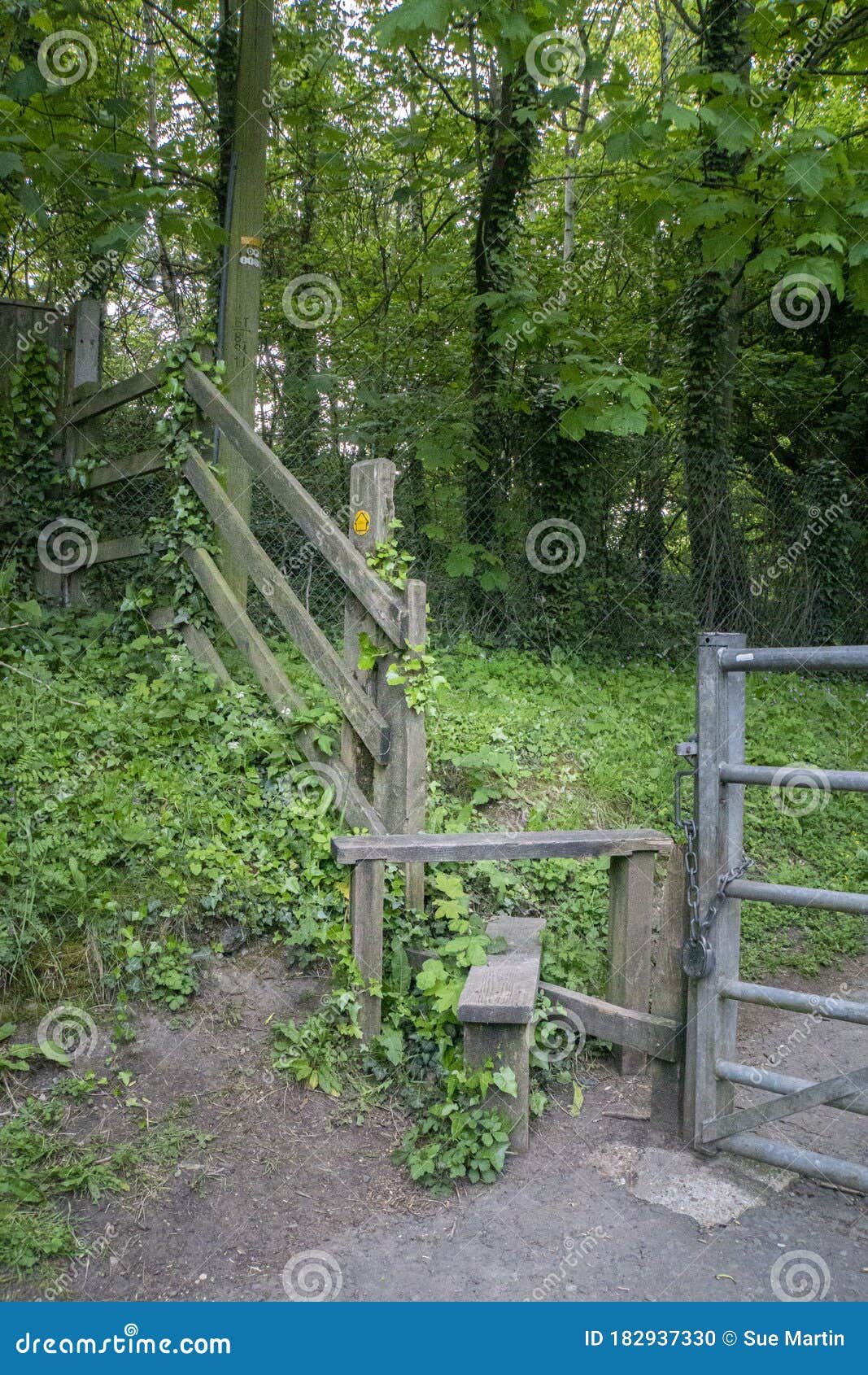 Public Footpath, UK stock photo. Image of foliage, arrow - 182937330