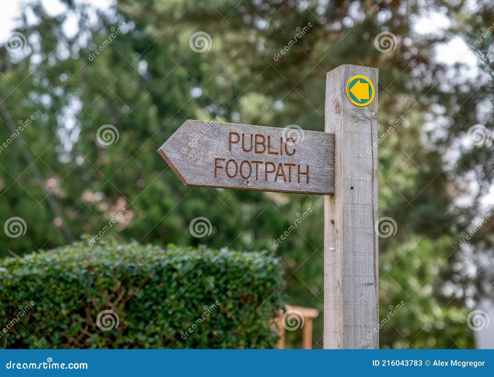 Footpath Of Wooden Planks On The Grass, Use As Texture Stock ...