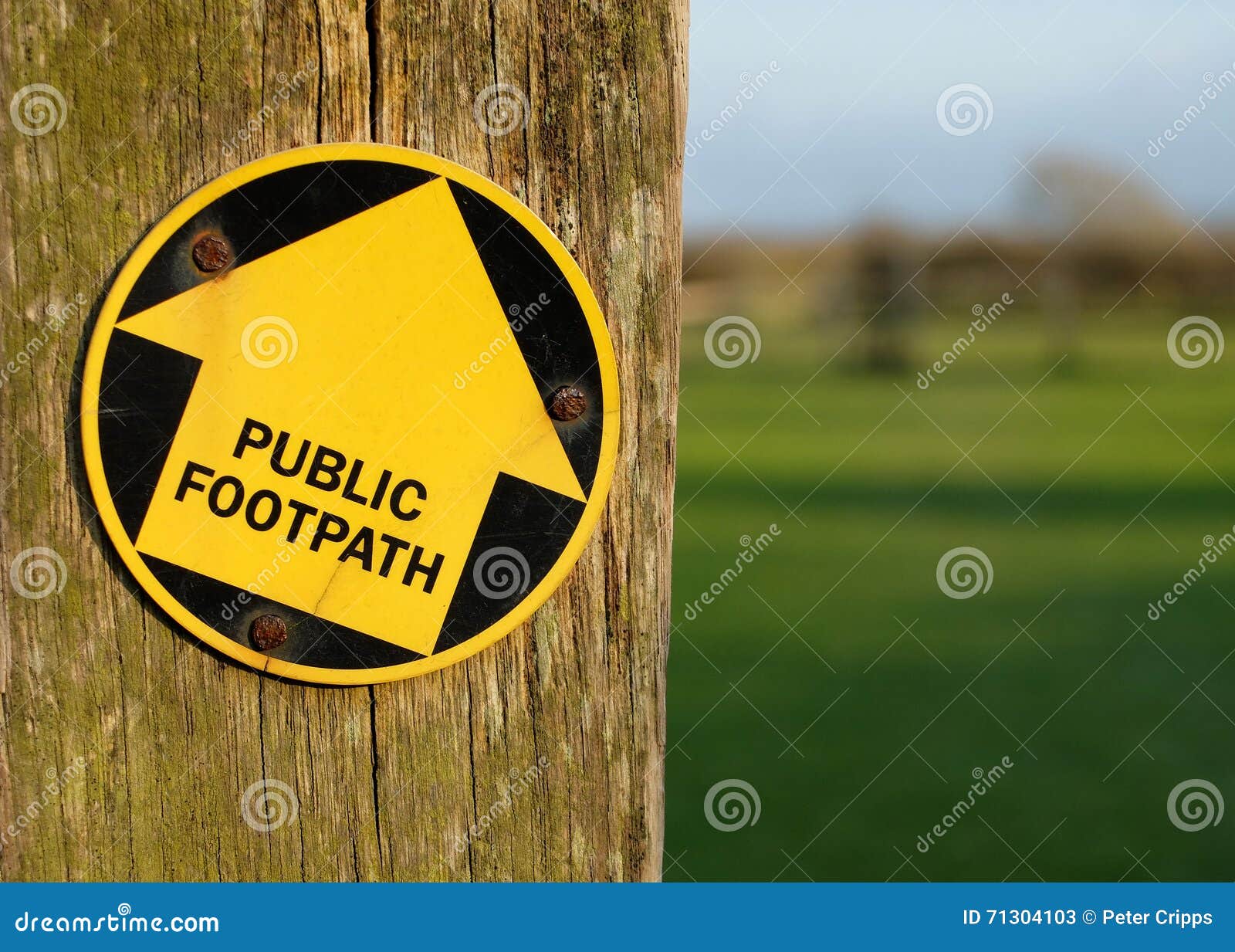 Public footpath stock image. Image of sign, arrow, yellow - 71304103