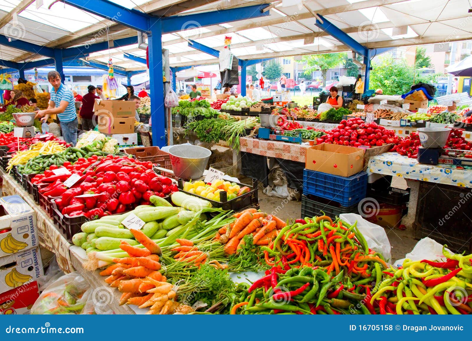 At public market editorial stock photo. Image of nutrious - 16705158