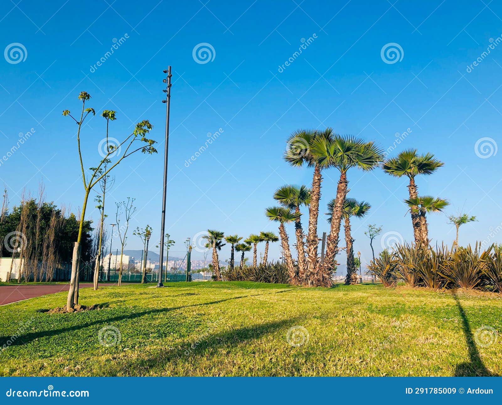 Public Park with a Breathtaking and Peaceful Scenic View Stock Image ...