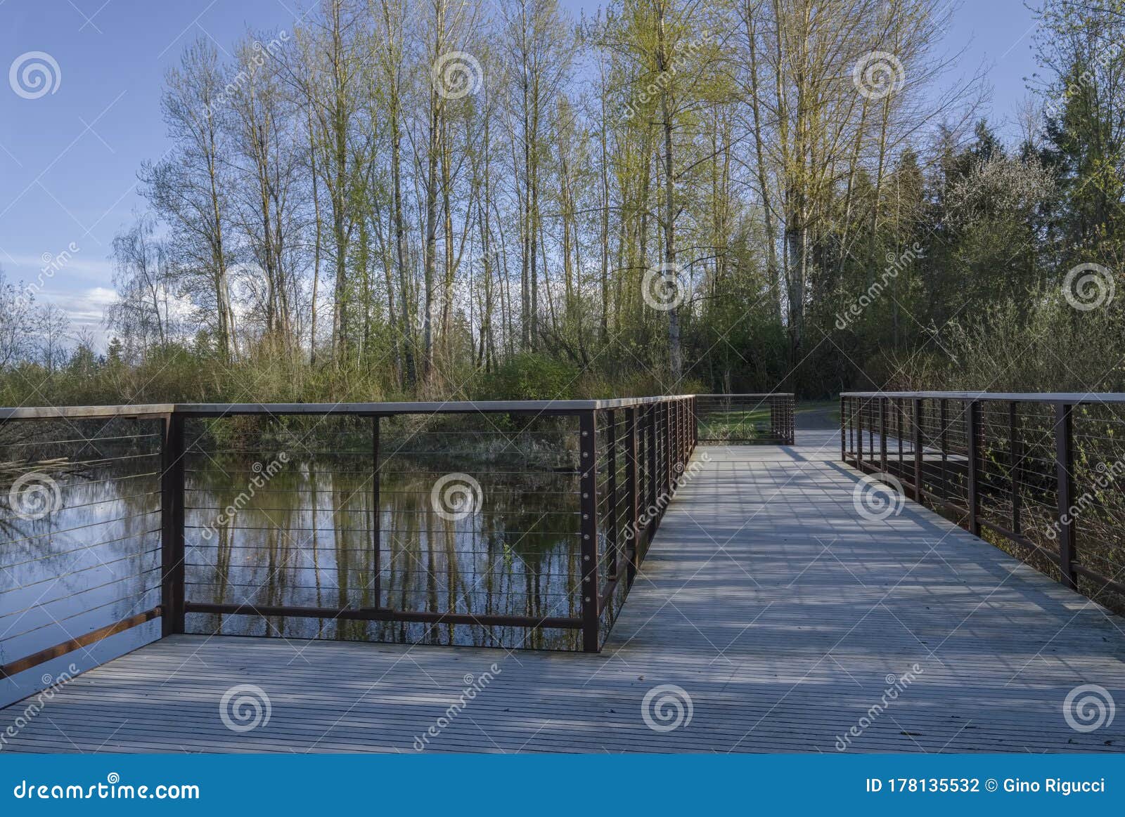Public Park Landscape in Fairview Oregon Stock Photo - Image of public ...