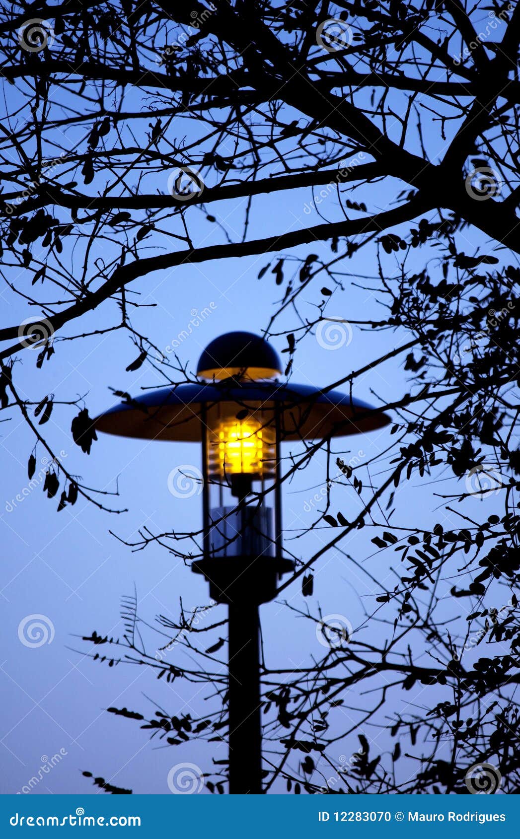 Public park light stock photo. Image of energy, branch - 12283070