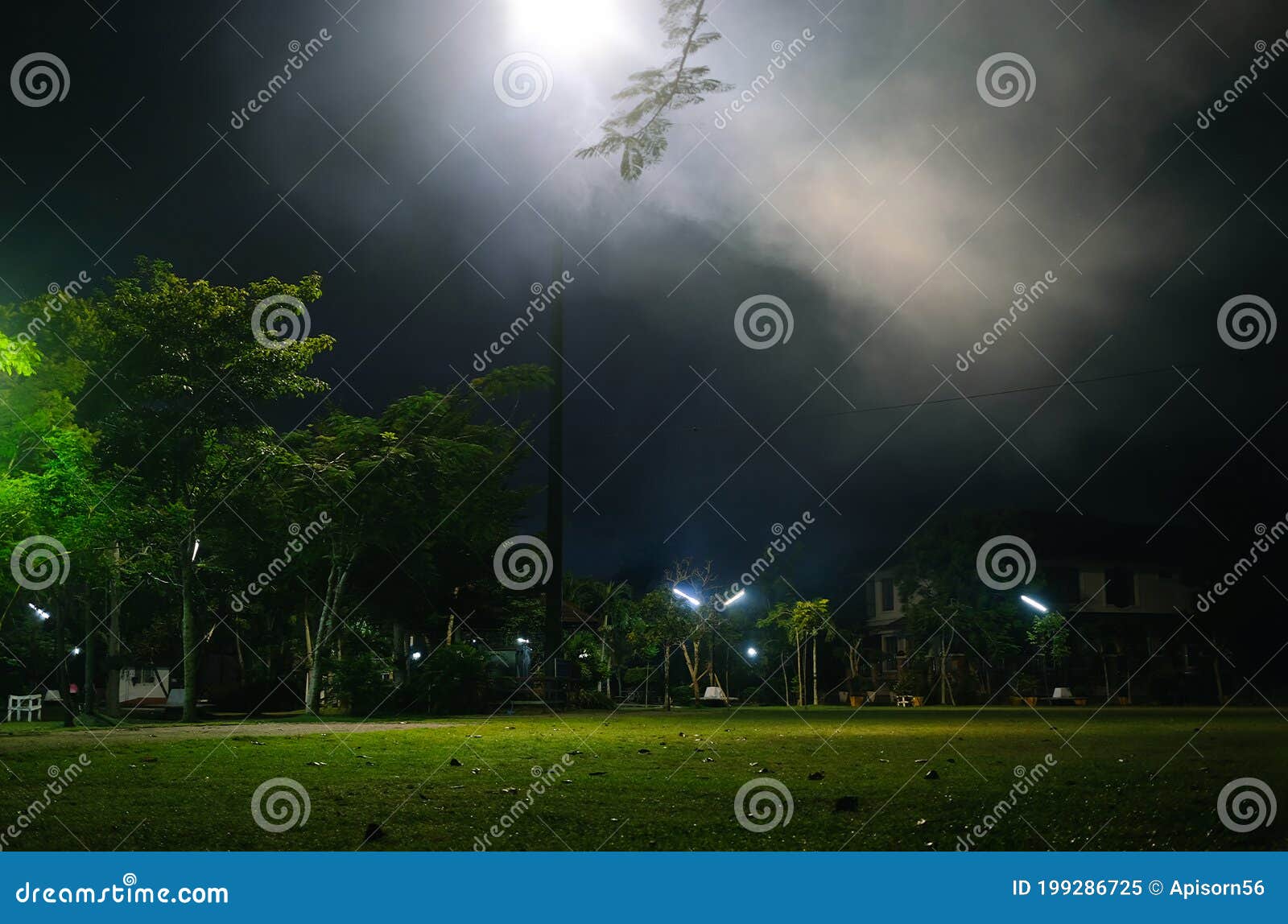 Grassy Field At Night