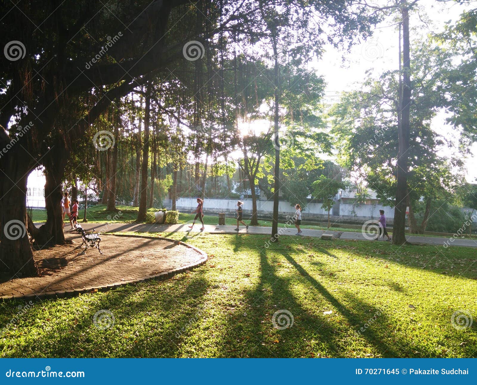 A Public Park with People Jogging Around Stock Image - Image of people ...