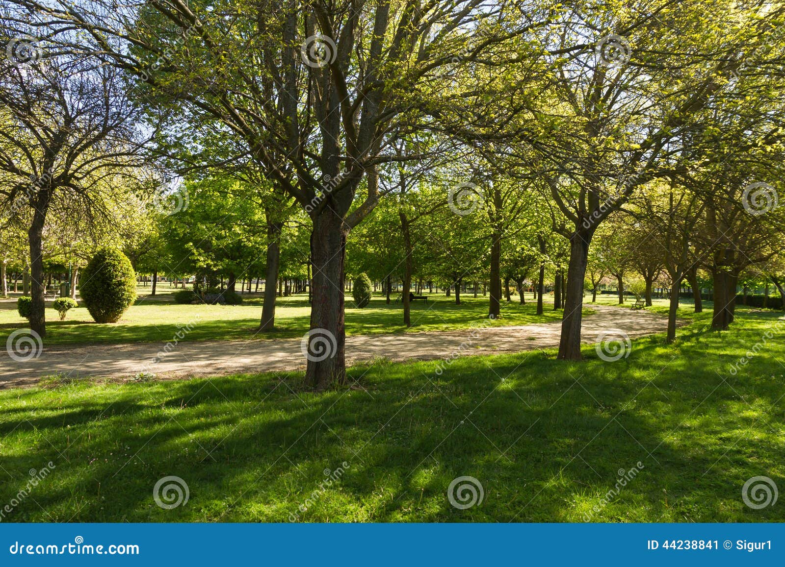 Public Park in Spring stock image. Image of path, landscape - 44238841