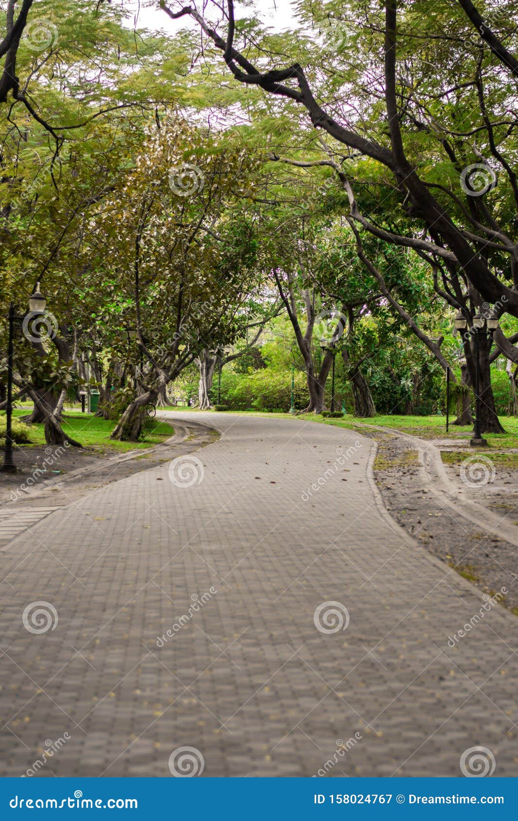 Public park stock image. Image of nature, landscape - 158024767