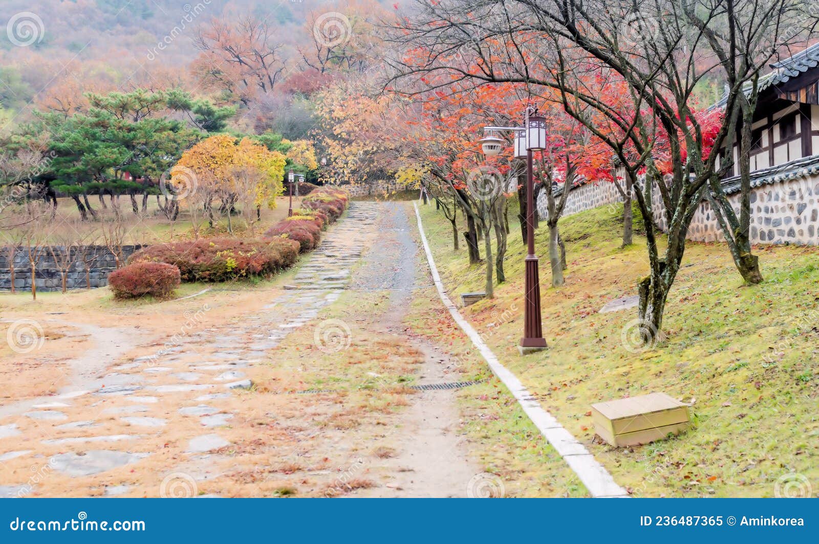 Public Park with Trees in Fall Colors Stock Image - Image of lake ...