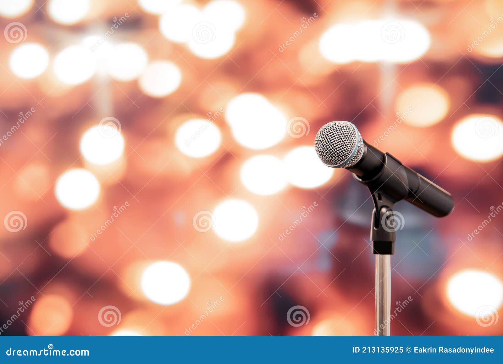 9,645 Public Speaking Photos - Free & Royalty-Free Stock Photos from ...