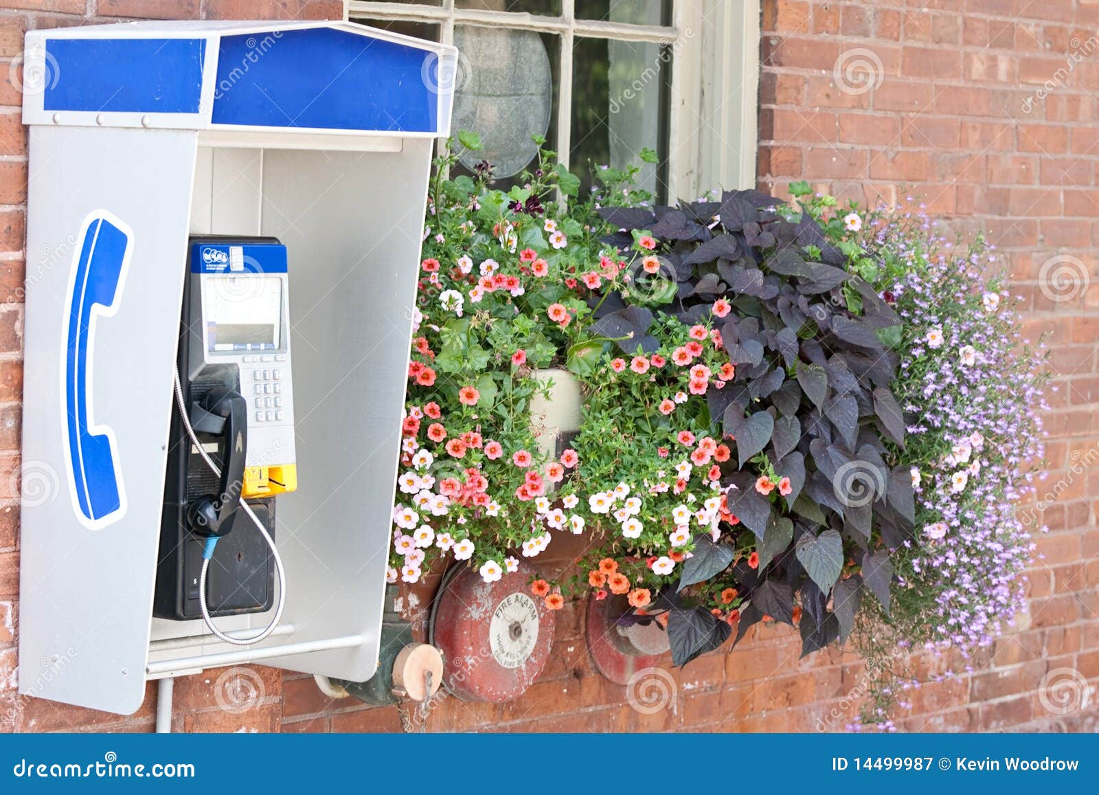Public Telephone beside Flowers on Outside Wall Stock Image - Image of ...