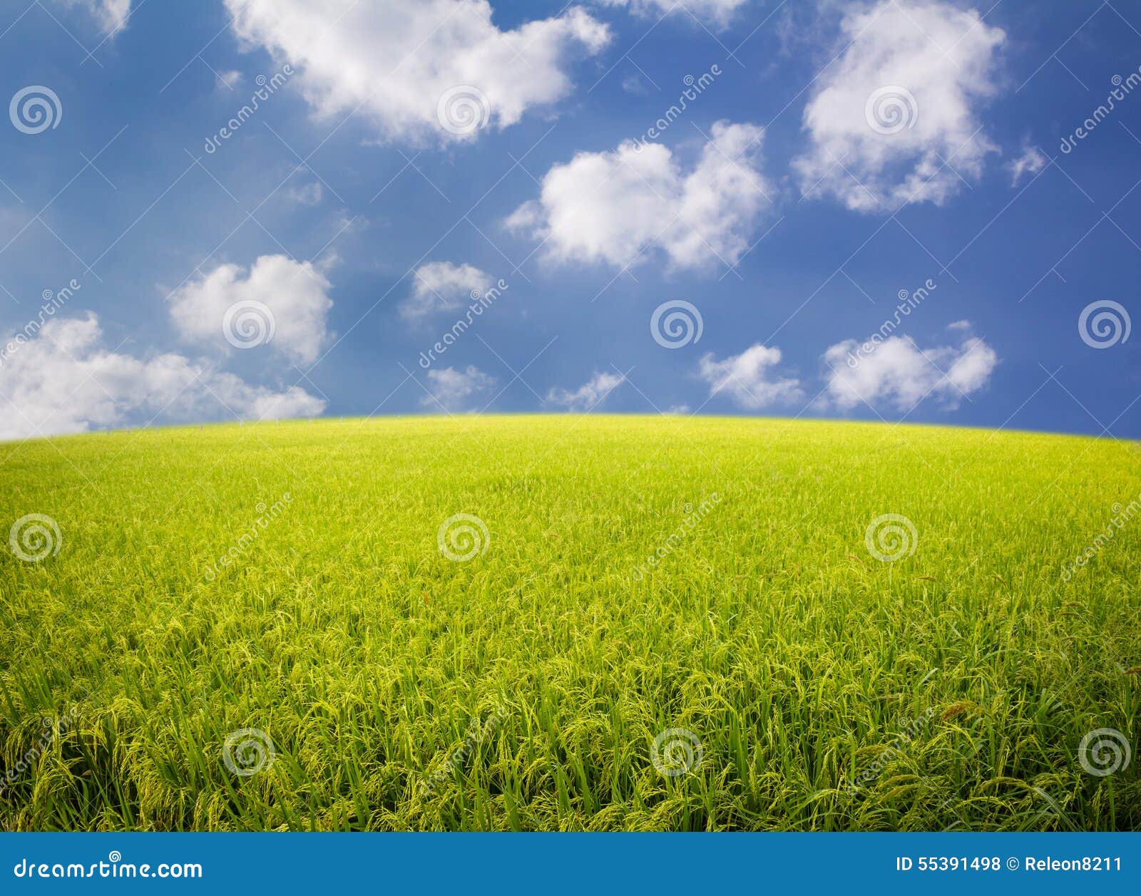 Published Advertising and Rice on a Blue Background. Stock Photo ...