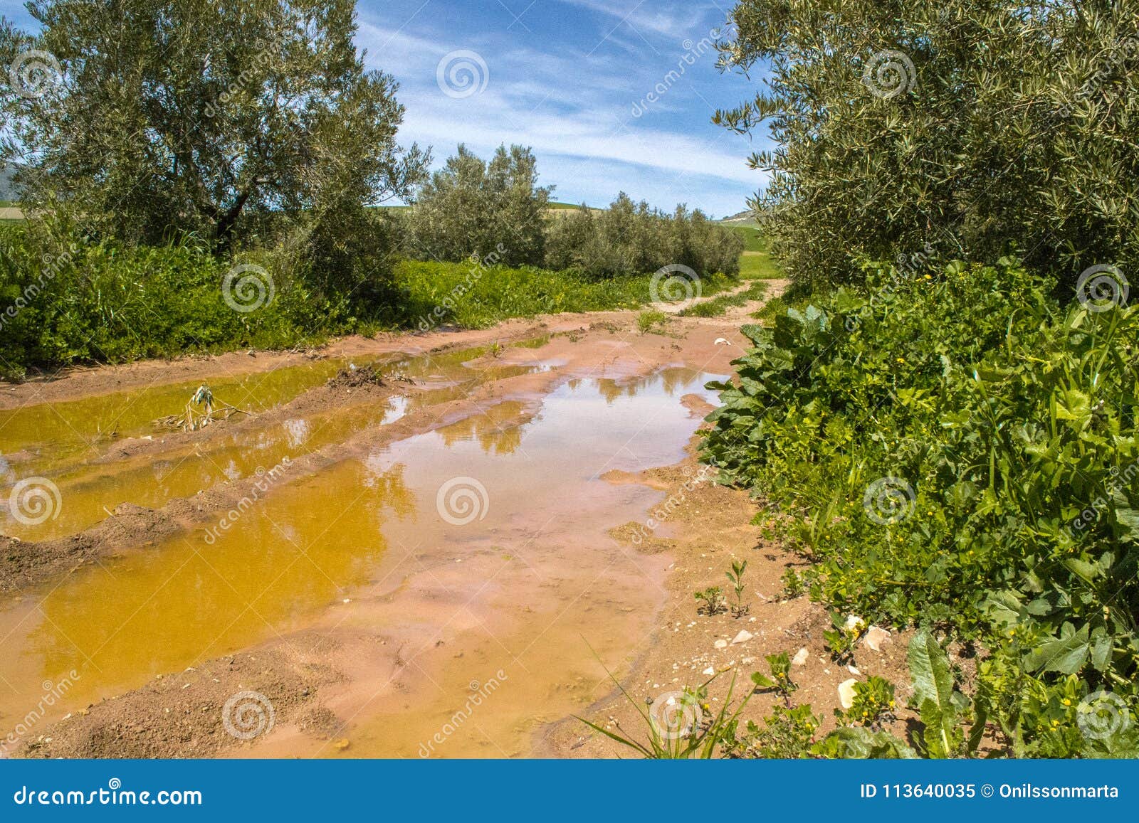 Pud Muddle after the Rain in Agriculture Fields. Stock Image - Image of ...