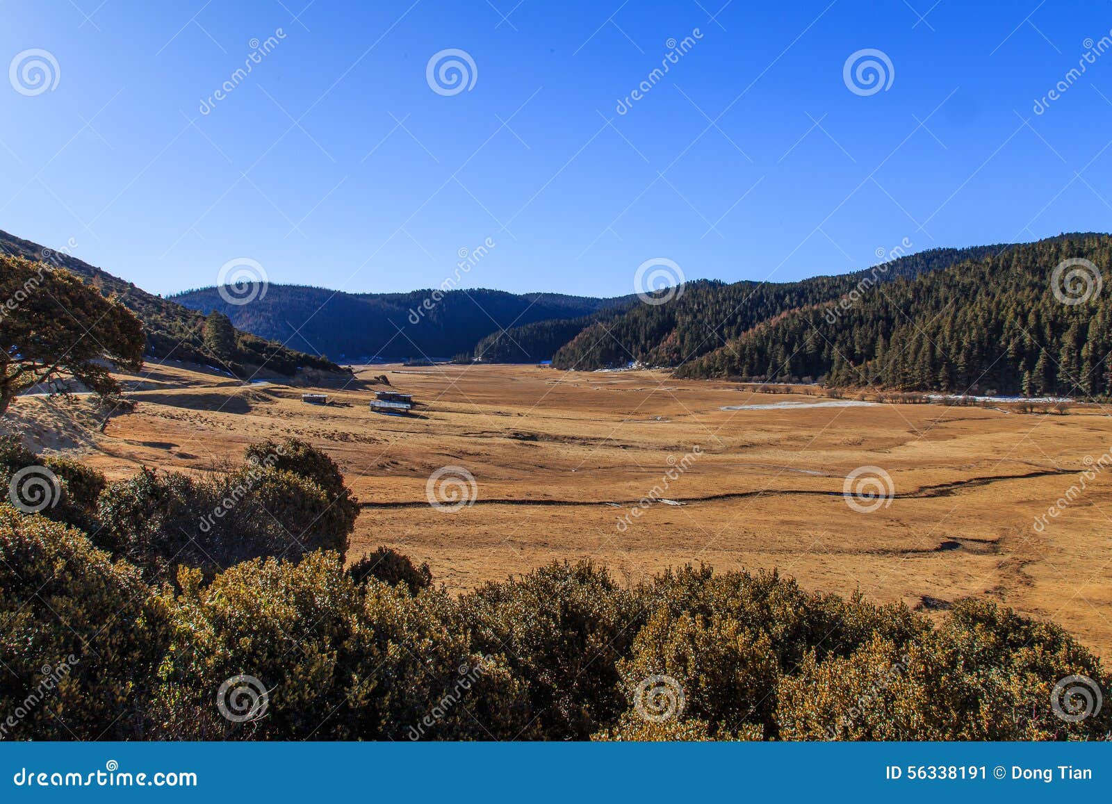 Pudacuo National Forest Park Stock Image - Image of tourism, tourist ...