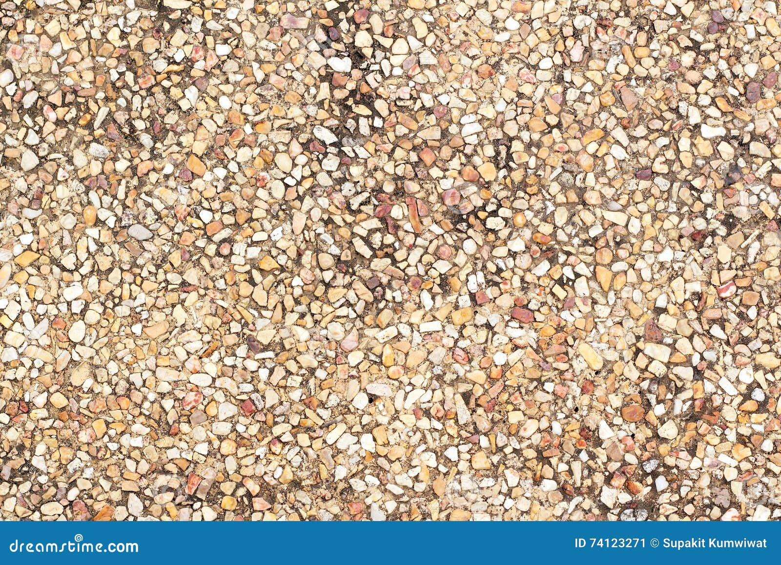 Puddingstone Conglomerado De La Variedad Imagen de archivo - Imagen de ...