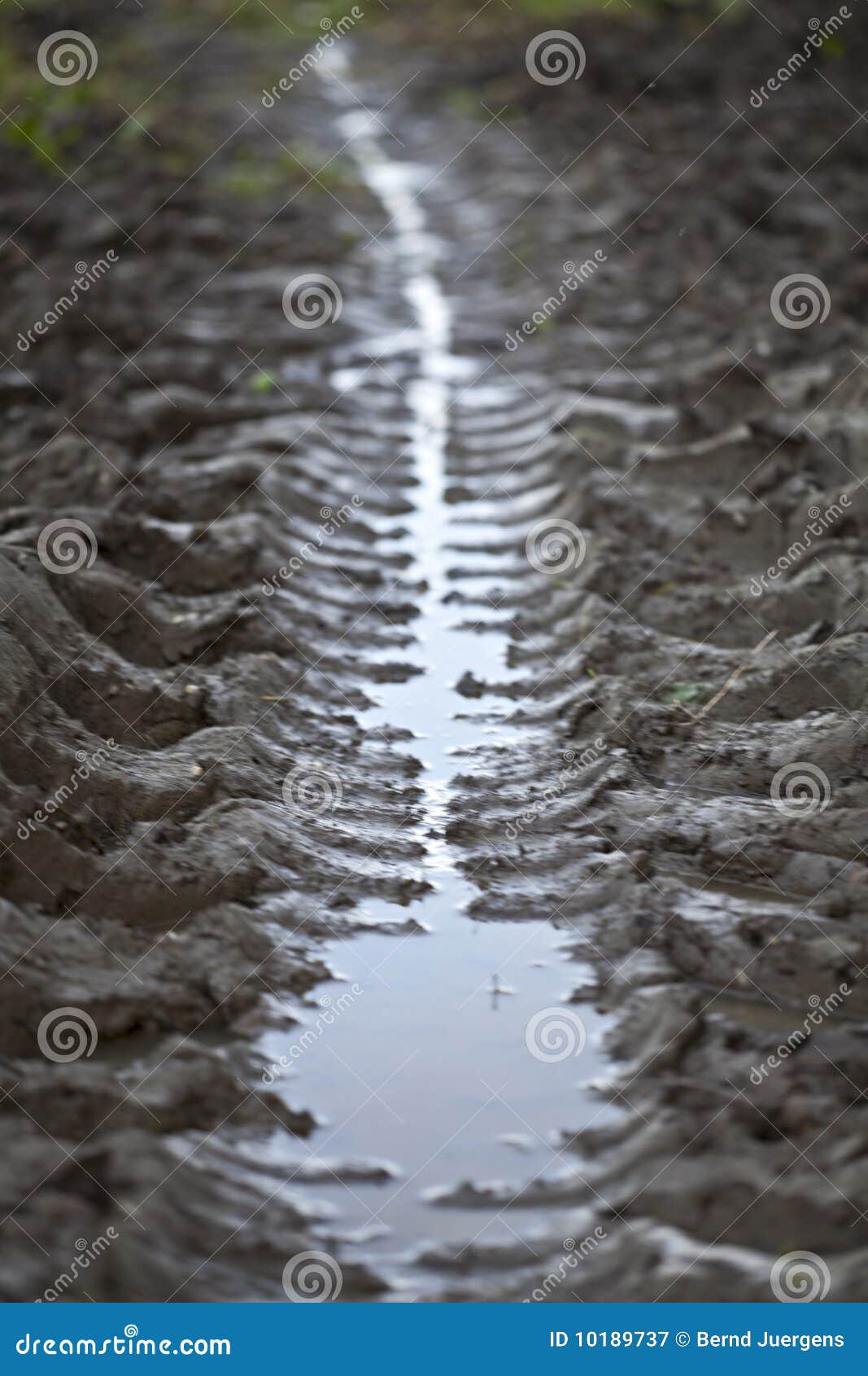Puddle stock image. Image of water, outdoors, reflection - 10189737