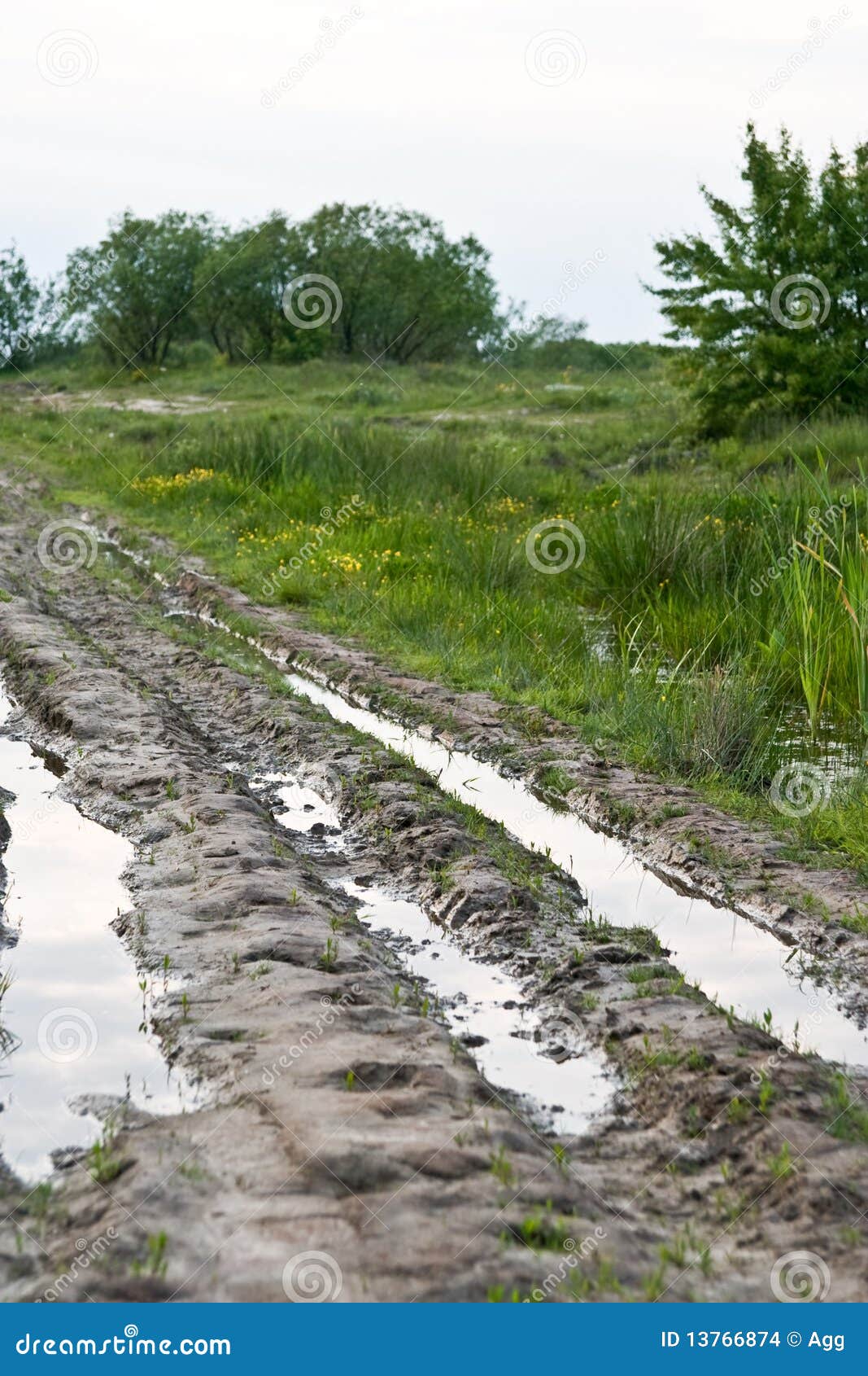 Puddle stock photo. Image of water, pudlle, impassibility - 13766874