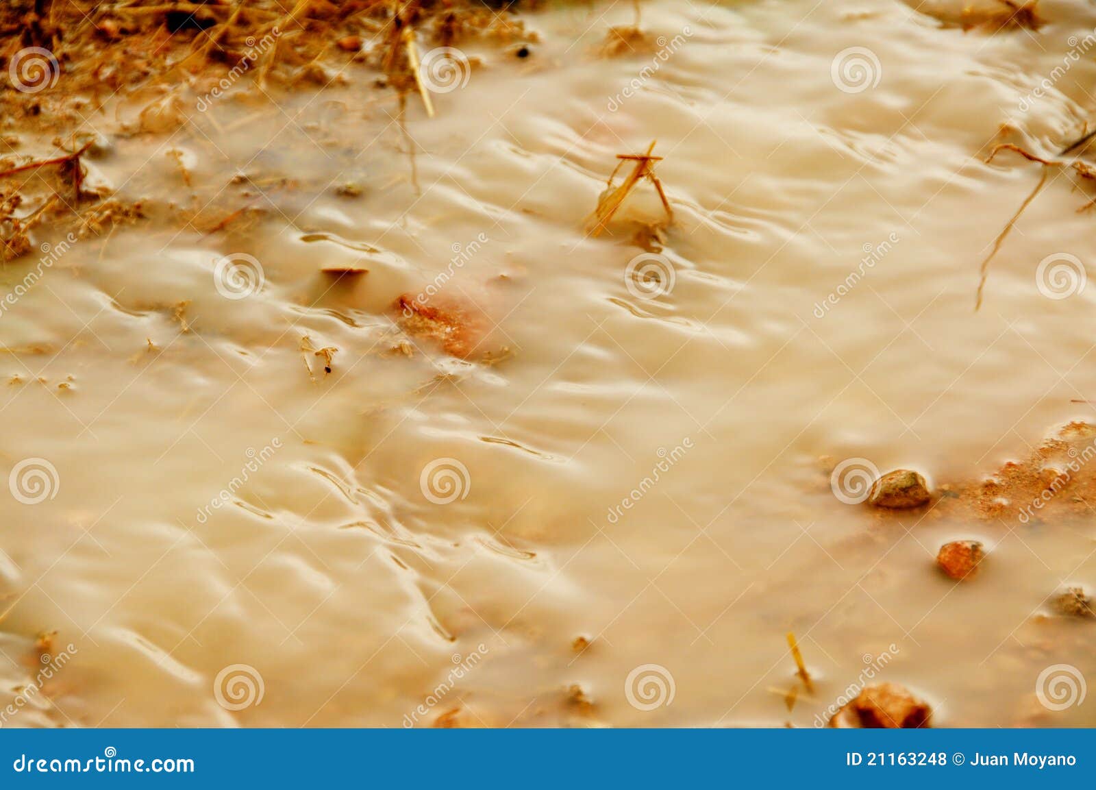 Puddle stock photo. Image of pebble, rural, natural, raining - 21163248