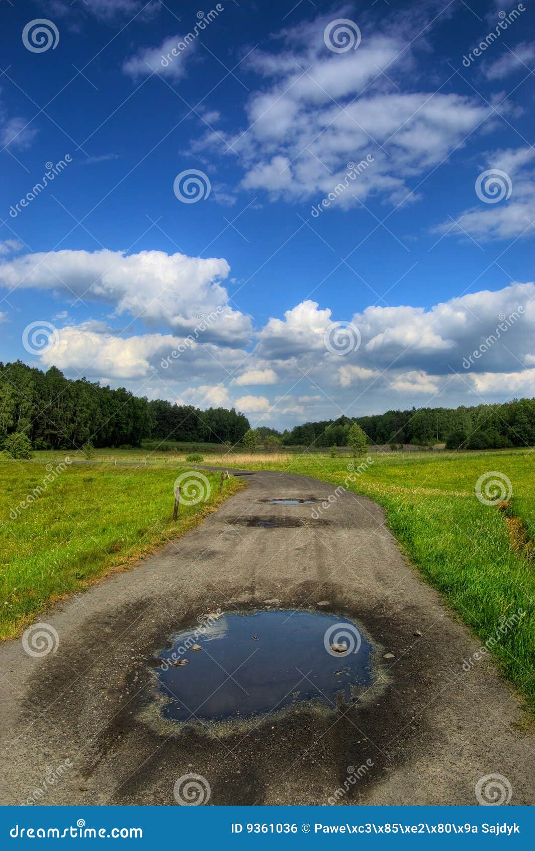 Puddle stock photo. Image of summer, calm, recreation - 9361036