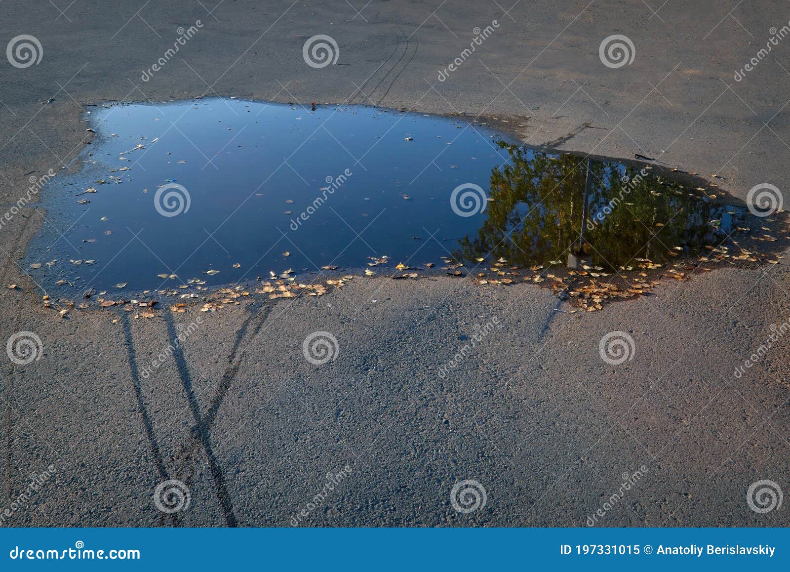 Puddle on the Asphalt. a Puddle on the Sidewalk with a Reflection of ...