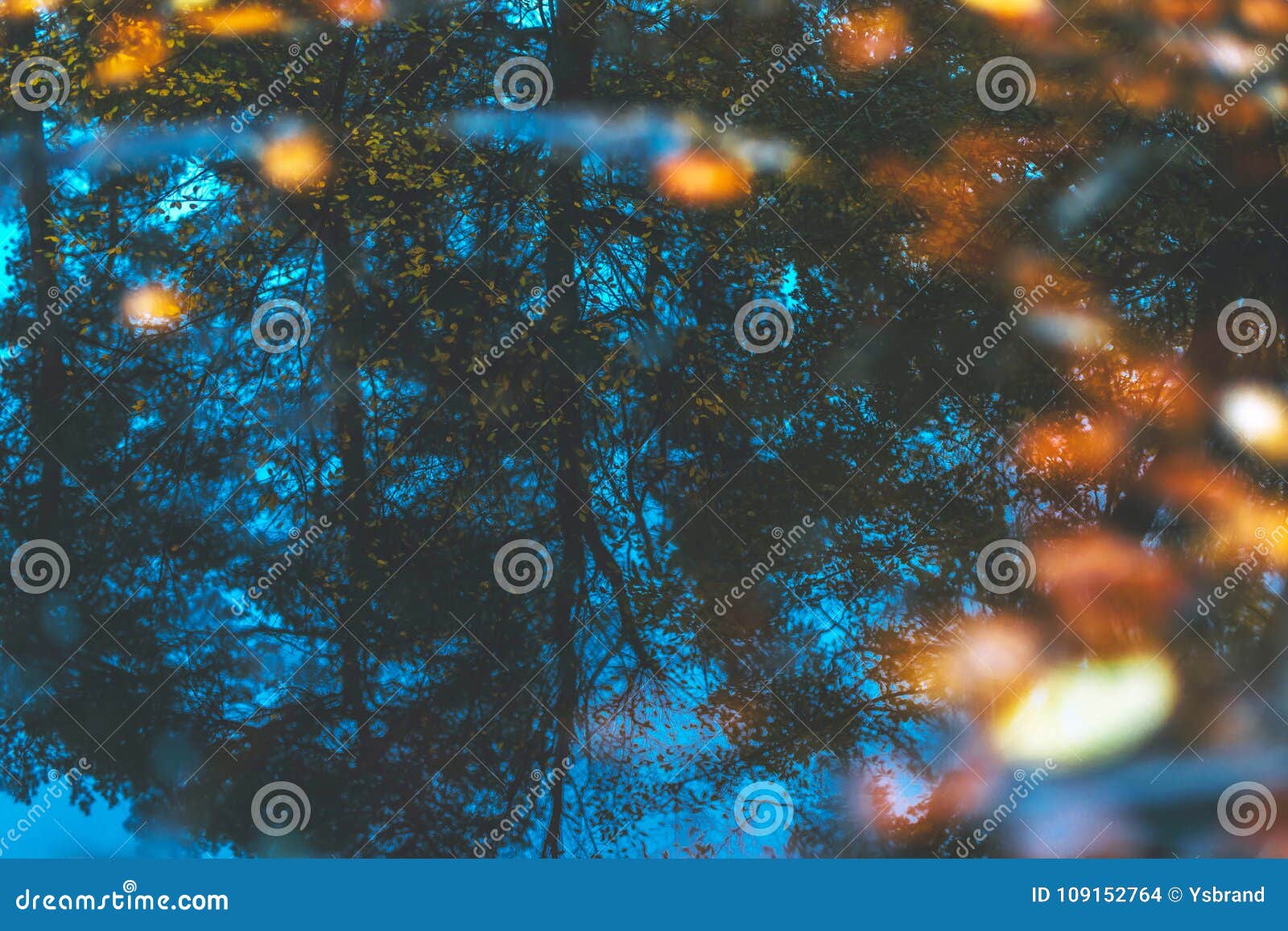 Reflection In A Puddle Stock Photography | CartoonDealer.com #115536164