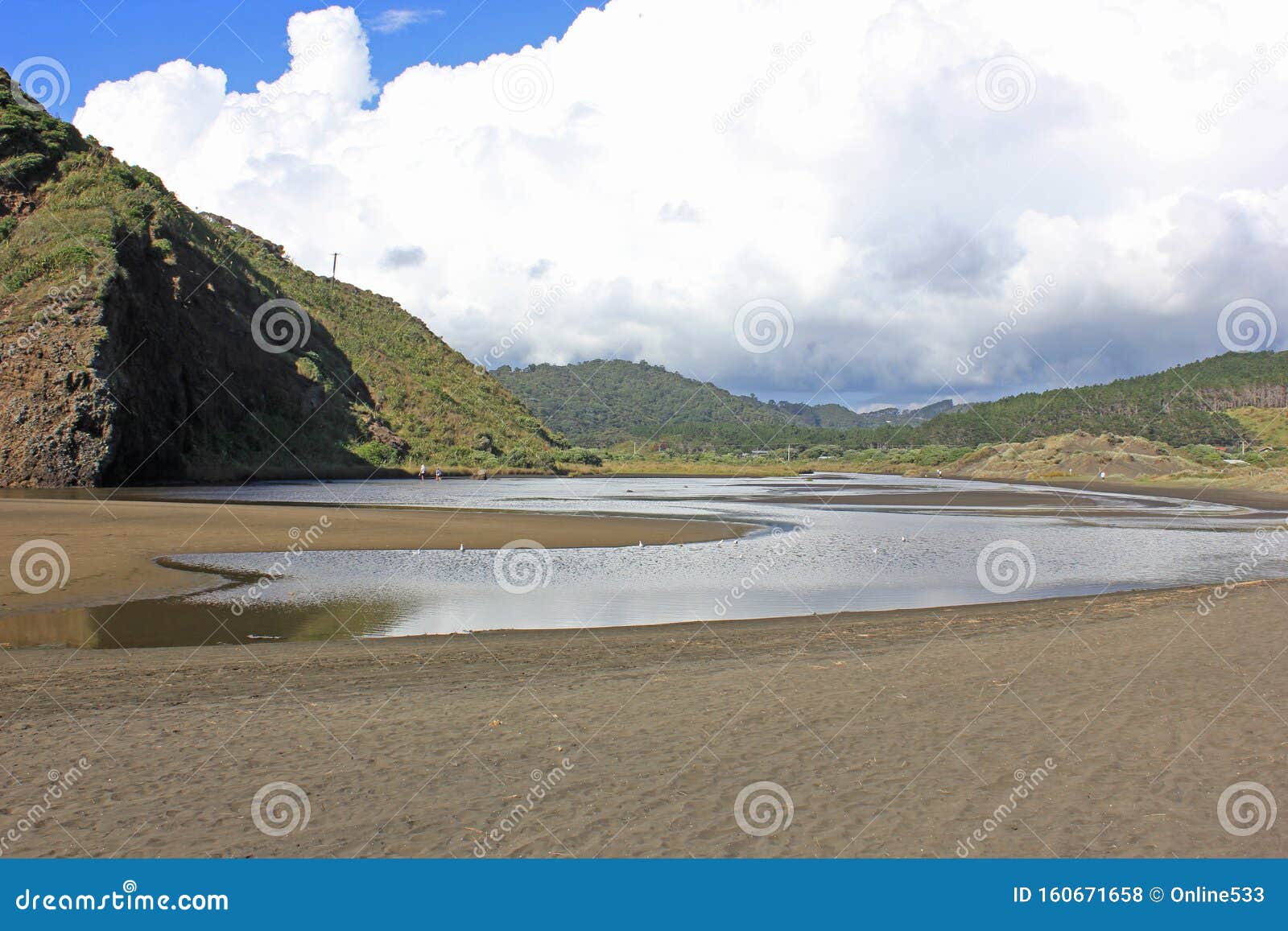 Puddle at Bethells Beach in New Zealand Stock Photo - Image of ...