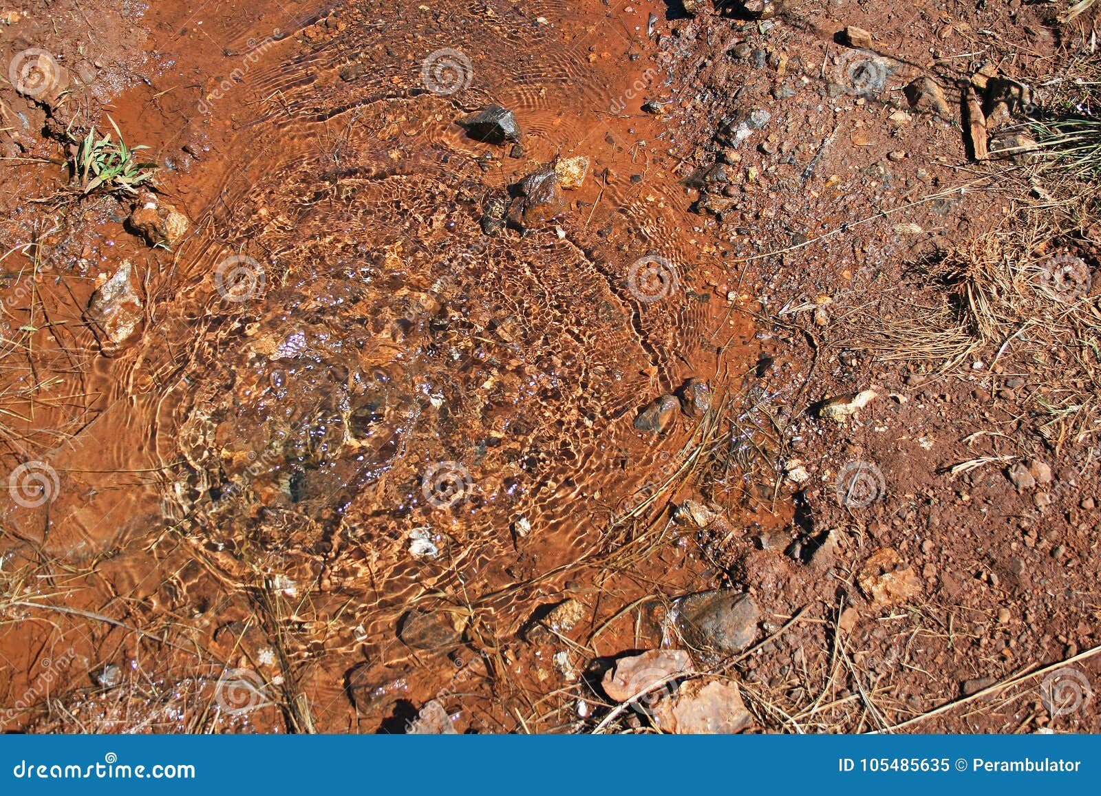 PUDDLE of BURBLING WATER from an UNDERGROUND SOURCE Stock Image - Image ...