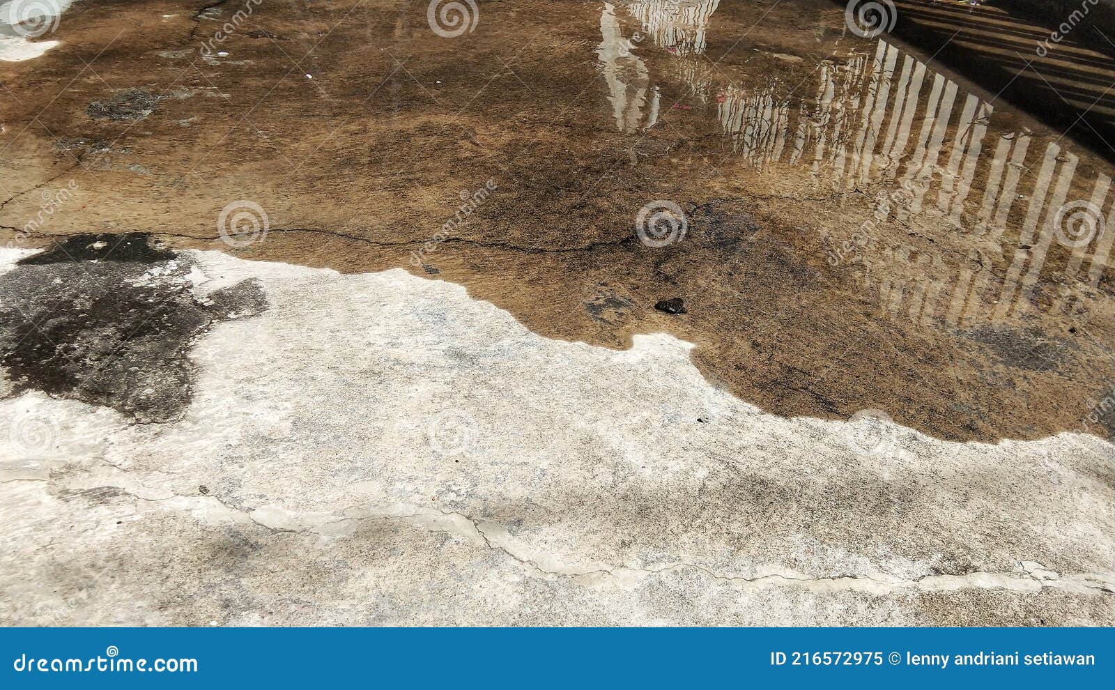 Puddle on the Cement Floor in the Morning Stock Image - Image of ...