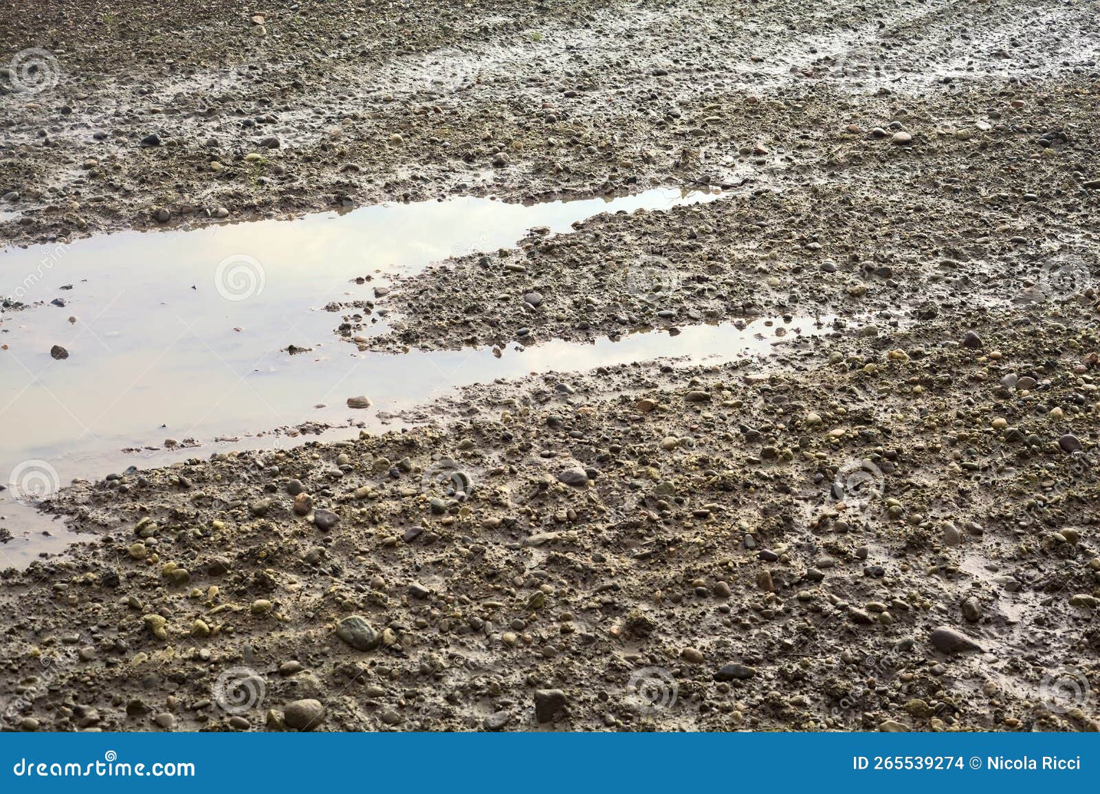 Puddle in a Cultivated Field Seen Up Close Stock Photo - Image of farm ...