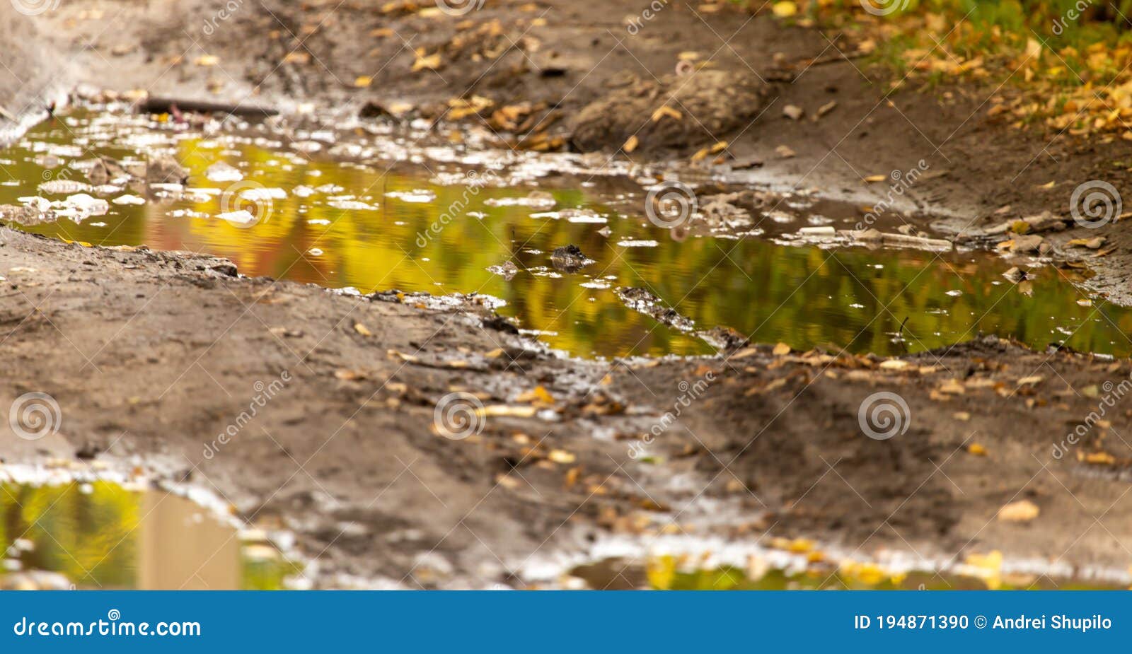 Puddle on a Dirt Road with Autumn Reflection Stock Photo - Image of ...