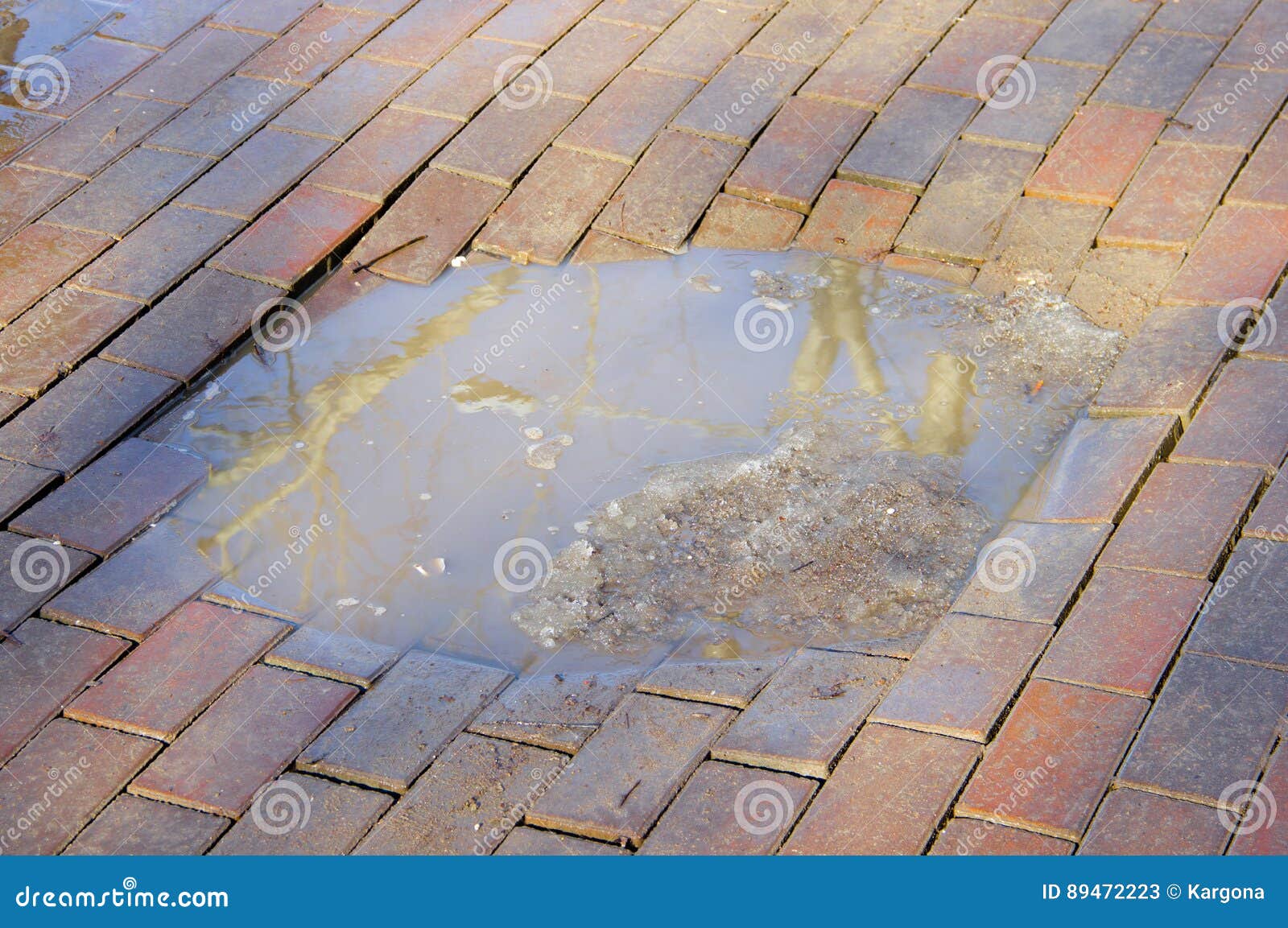 Puddle On The Pavement. Water Surface With Raindrops And Yellow Leaves ...