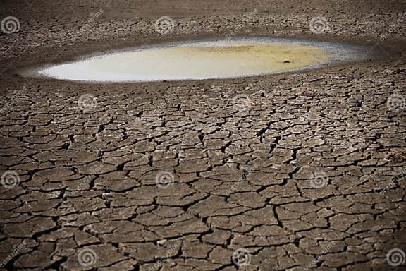 Puddle on dry land stock photo. Image of nature, death - 27442390