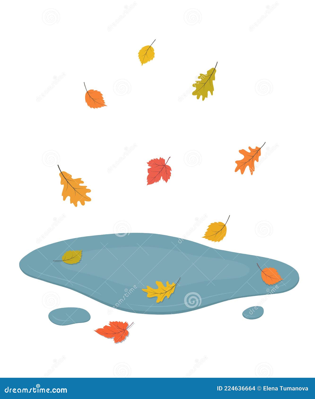 Puddle and Falling Leaves. Autumn. Isolated on White Background Stock ...