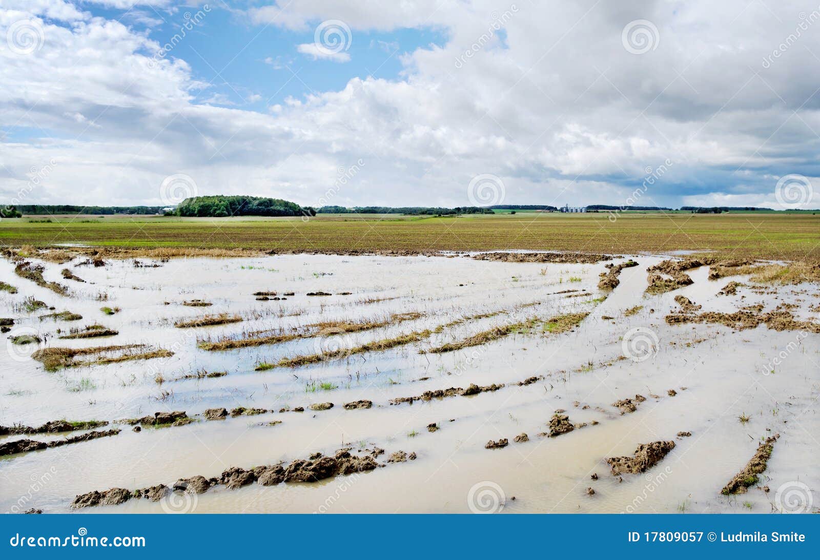 Puddle on the field. stock image. Image of rural, nature - 17809057