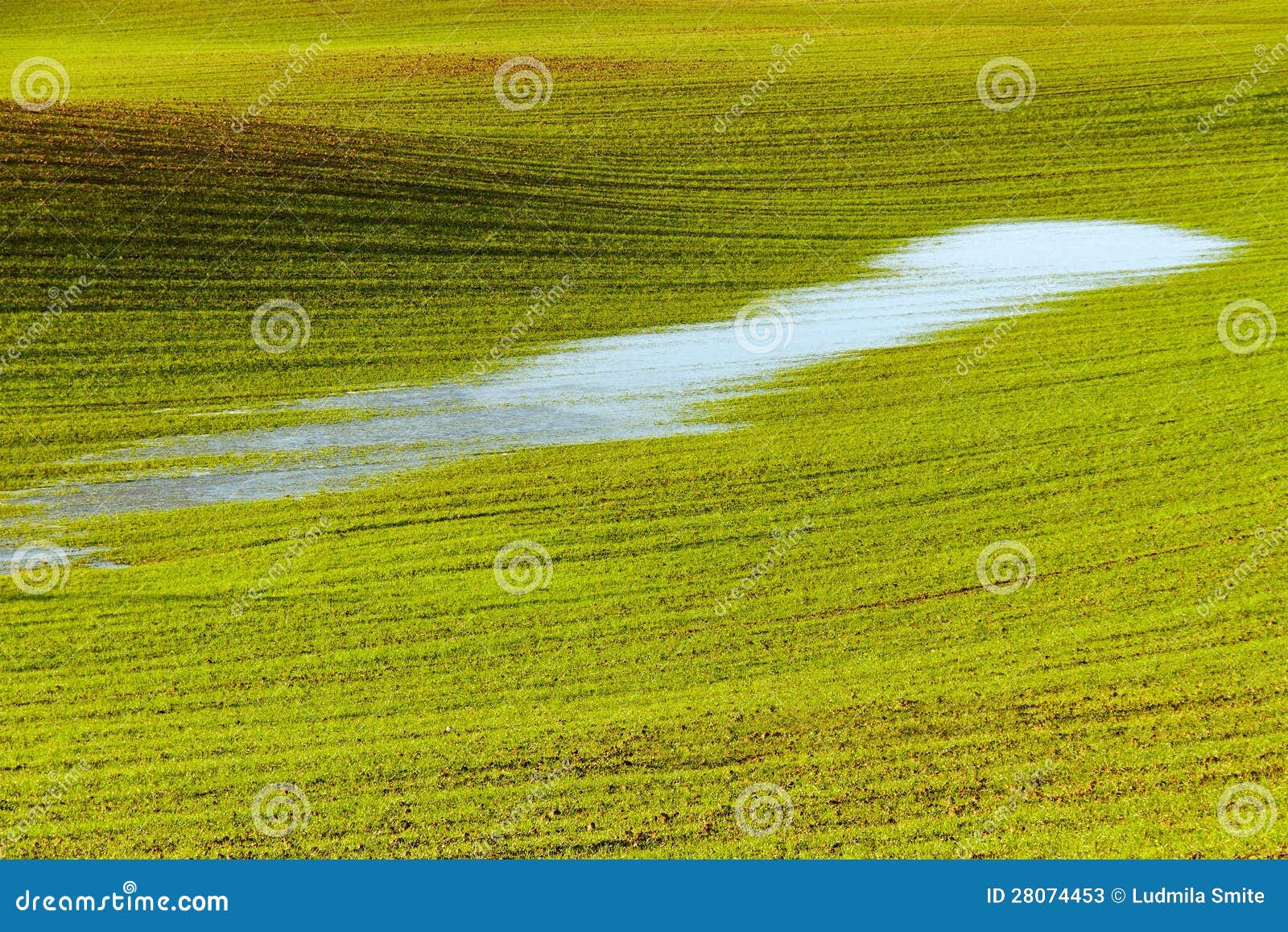 Puddle on the field. stock image. Image of countryside - 28074453