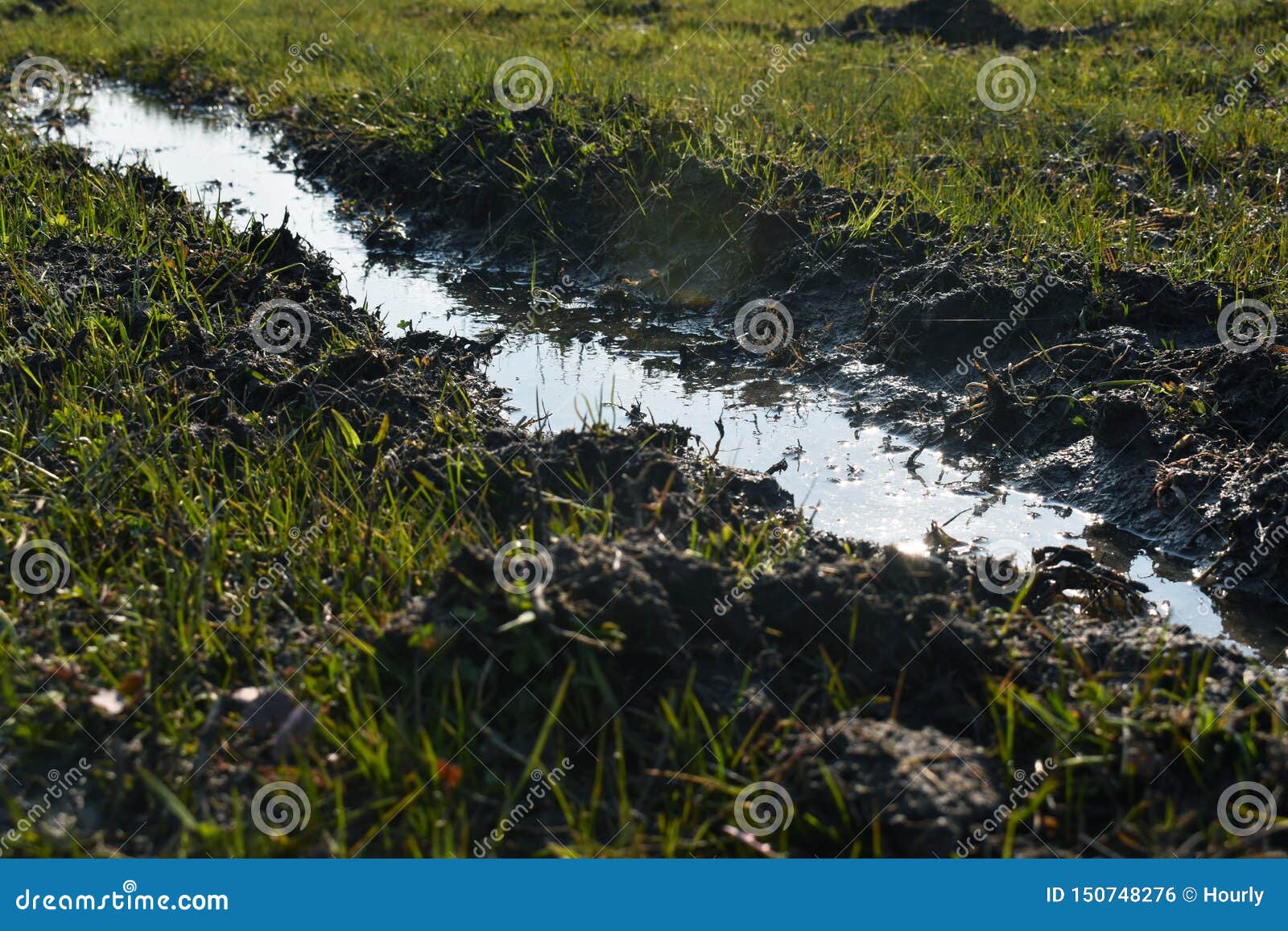 Puddle on the field stock photo. Image of small, grass - 150748276