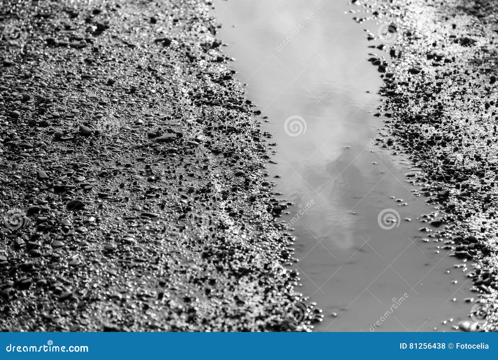 Puddle in the field stock photo. Image of deep, dirty - 81256438