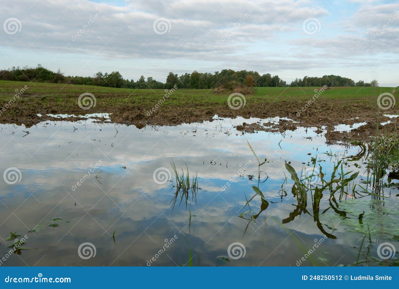 Puddle in the field stock photo. Image of field, climate - 248250512