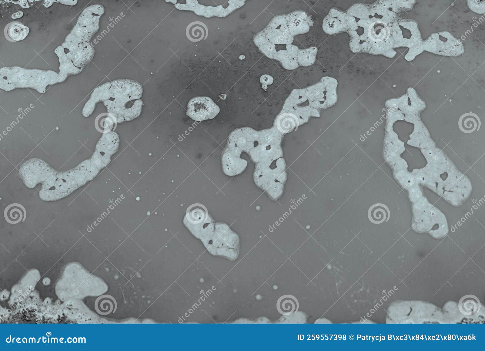 Puddle, Foam, Structure Under Water. Reflecting the Sky. Stock ...