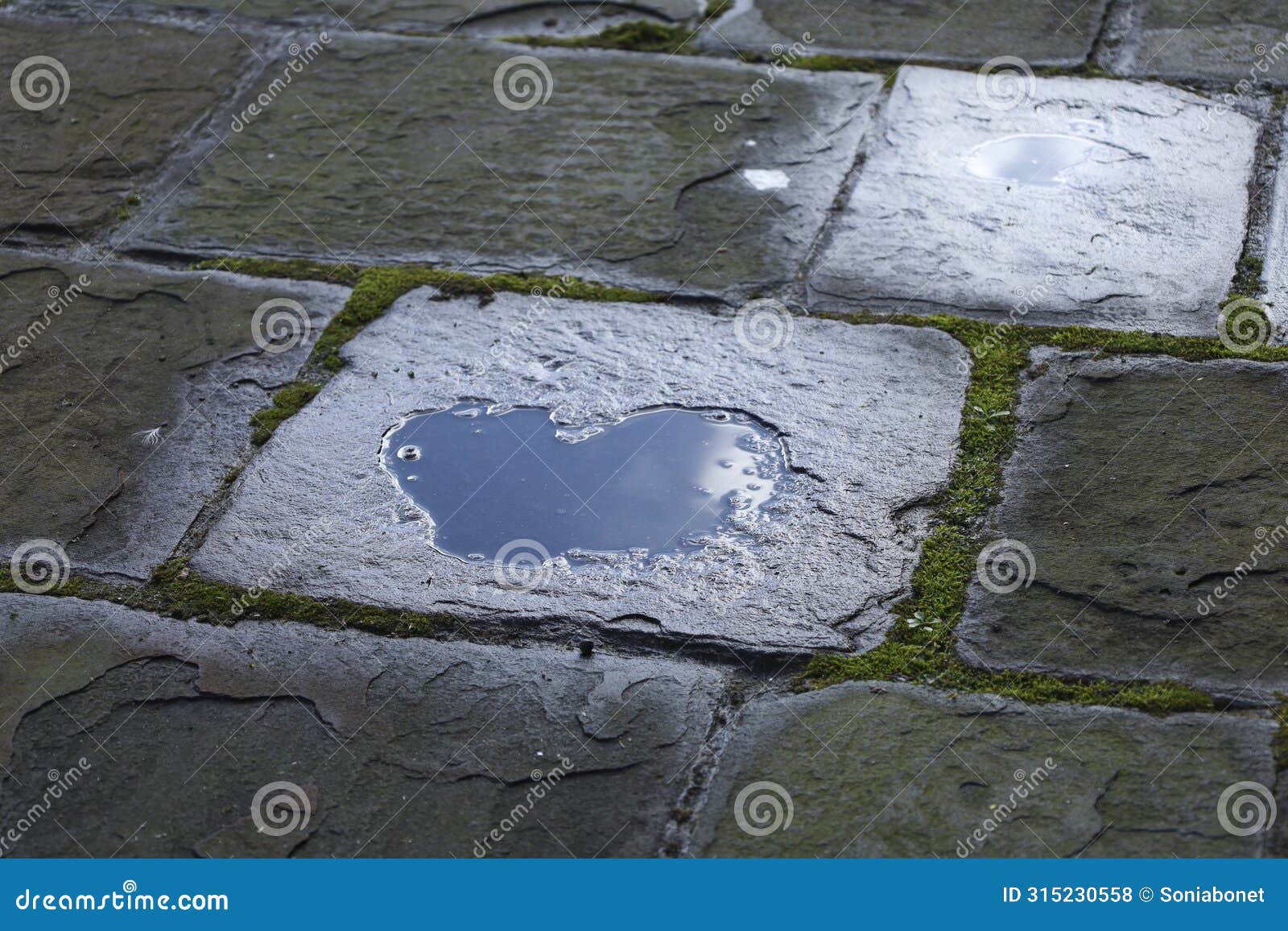 Puddle Forming a Heart on a Stone Tile Stock Photo - Image of grain ...