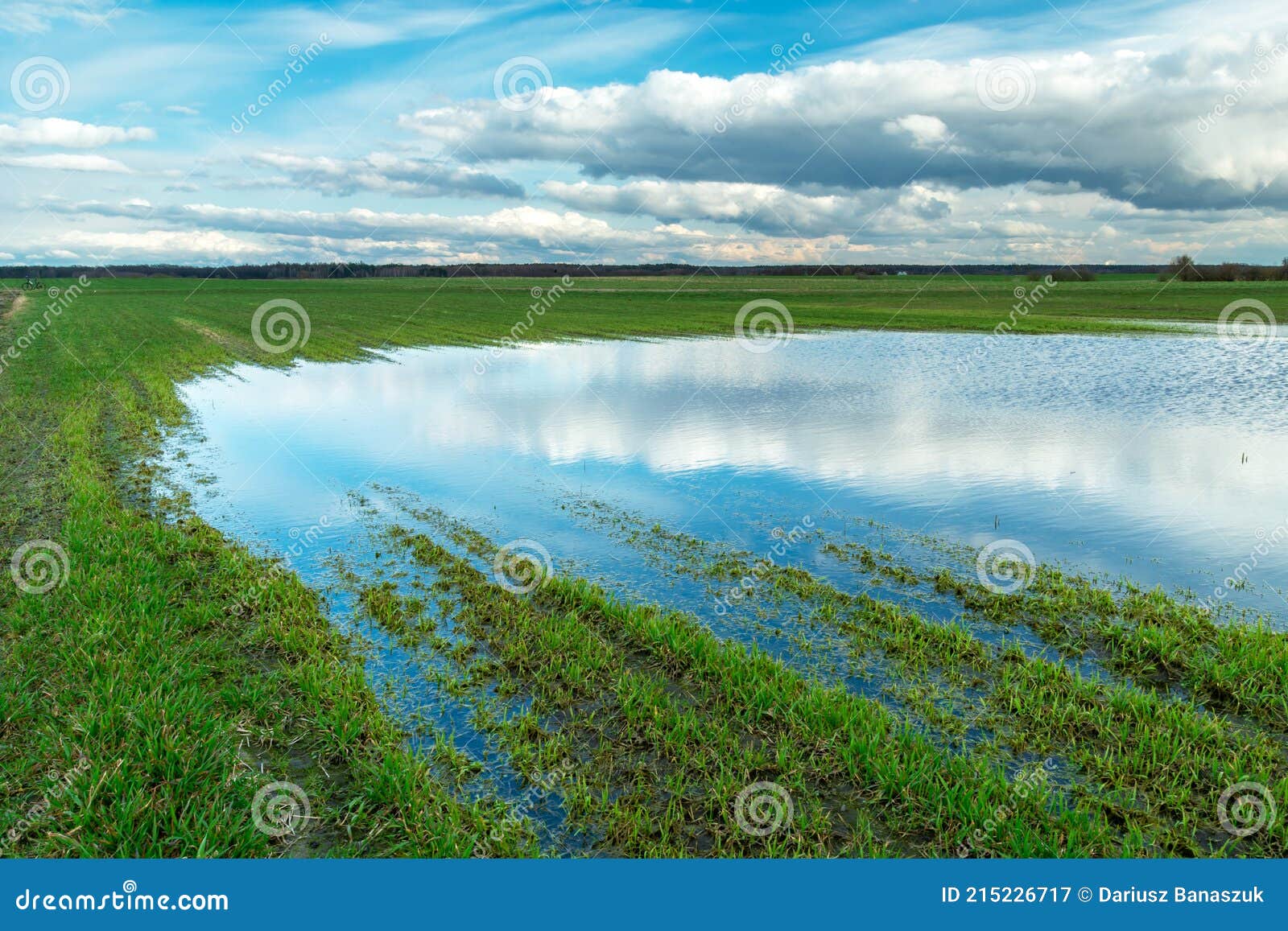 Puddle on the Green Field and Reflection of Clouds in the Water Stock ...