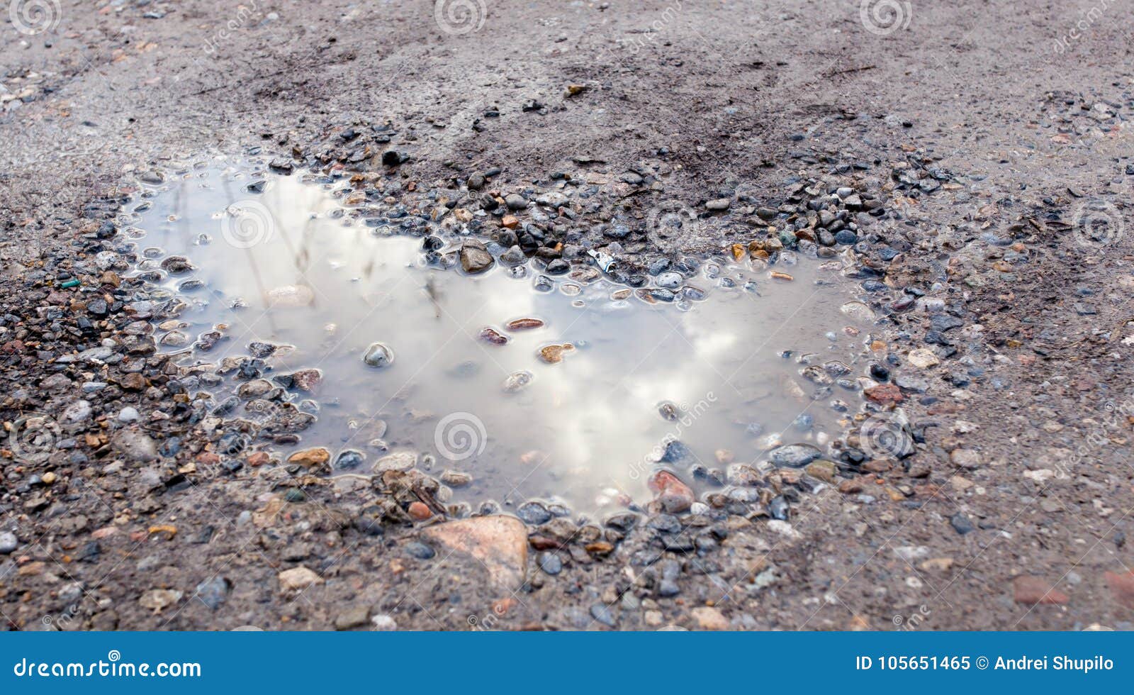 Puddle on the Ground in Nature Stock Image - Image of dirt, puddle ...